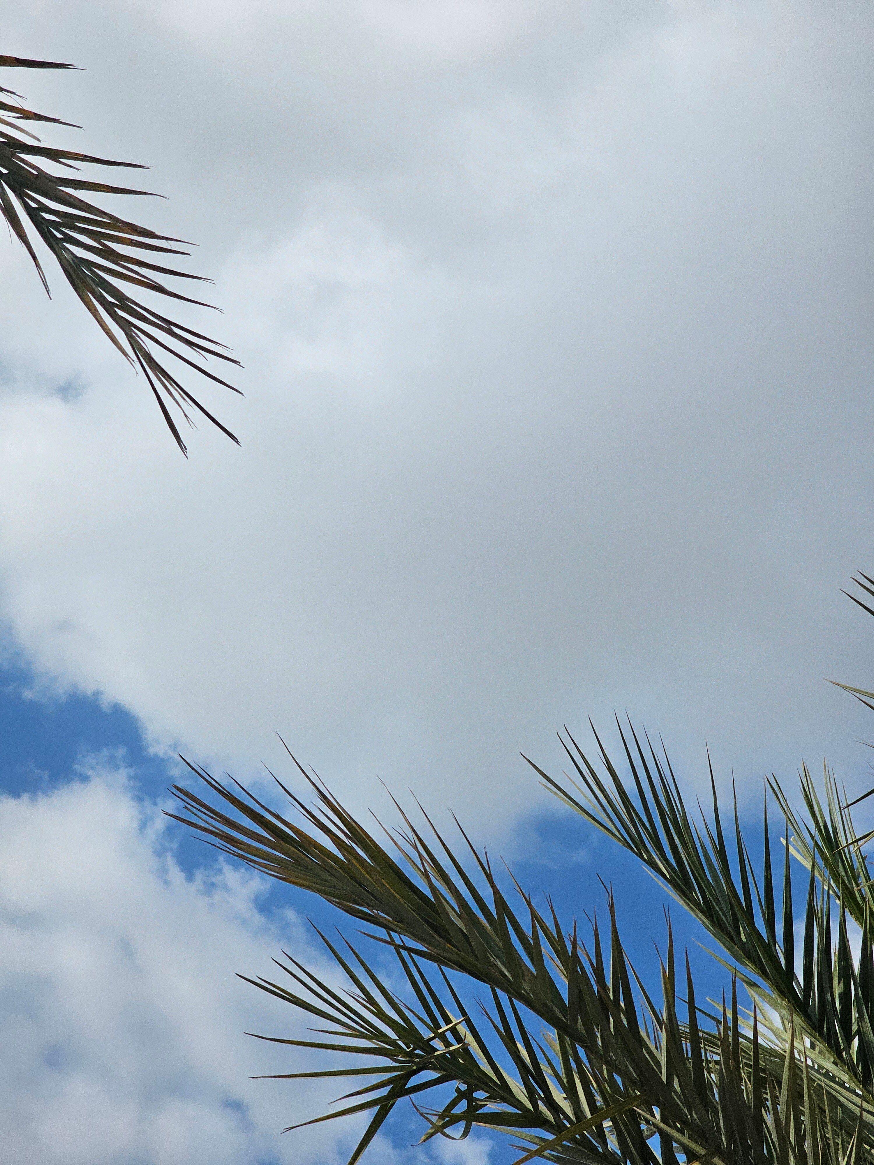 Compare Background Photos, Download The BEST Free Compare Background ...