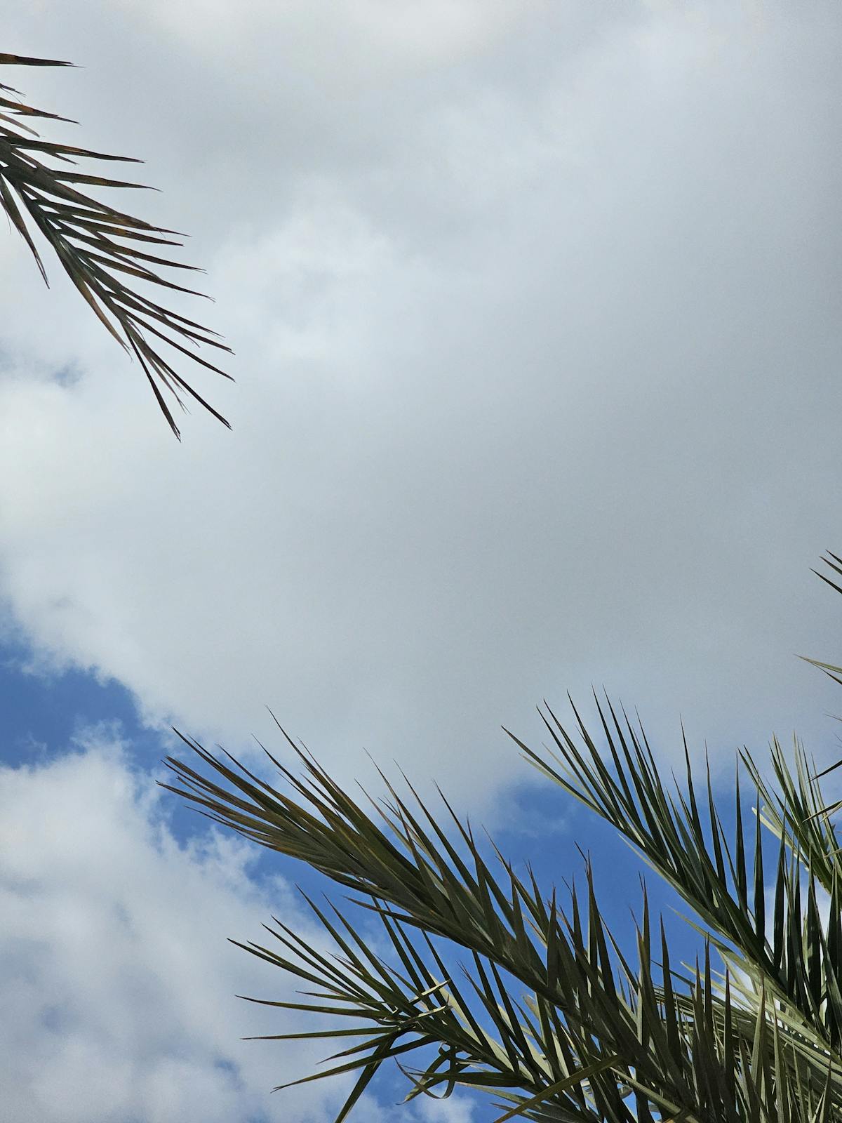 Wicked Background Photos, Download The BEST Free Wicked Background ...