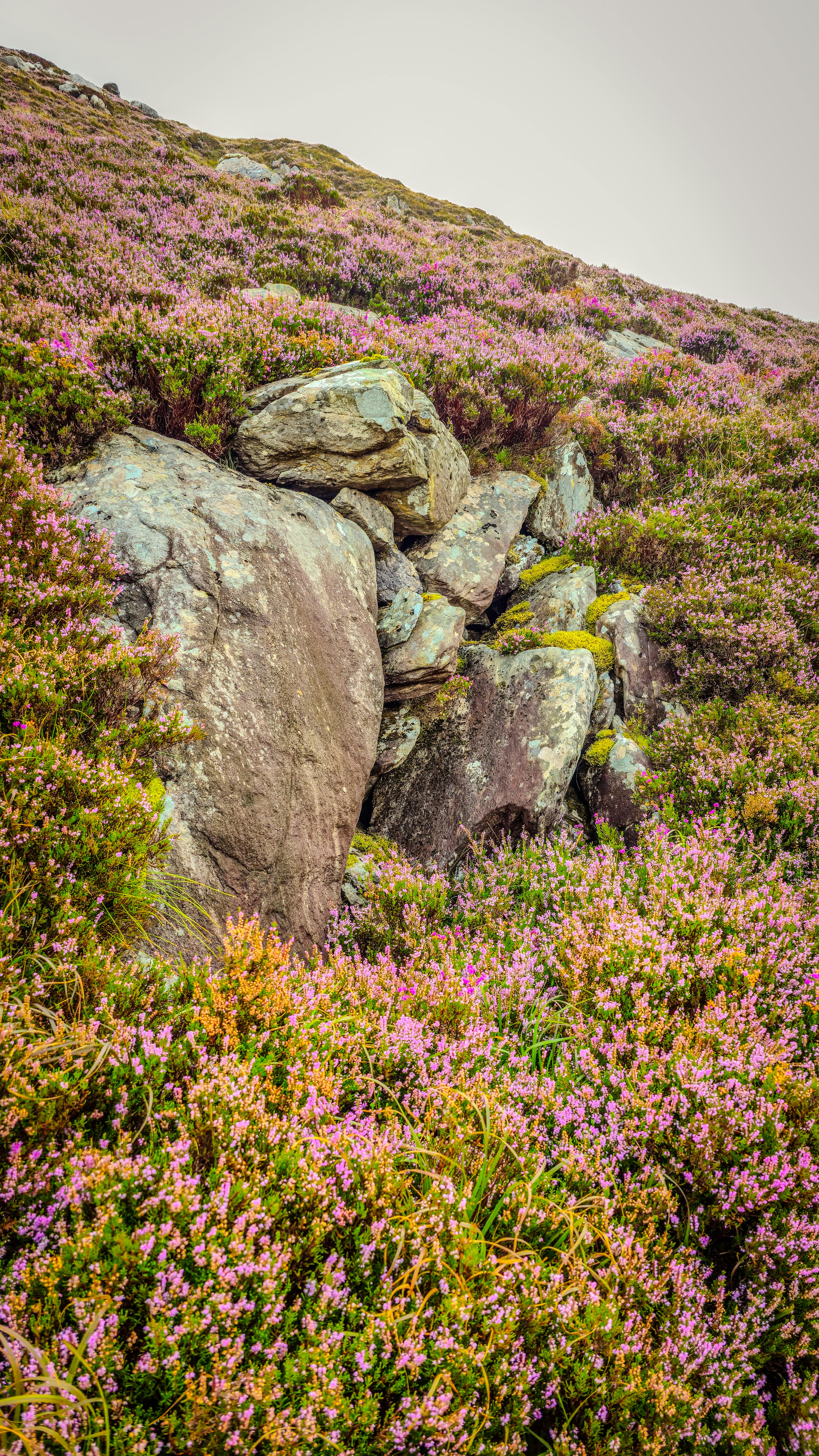 Landforms Photos, Download The BEST Free Landforms Stock Photos & HD Images