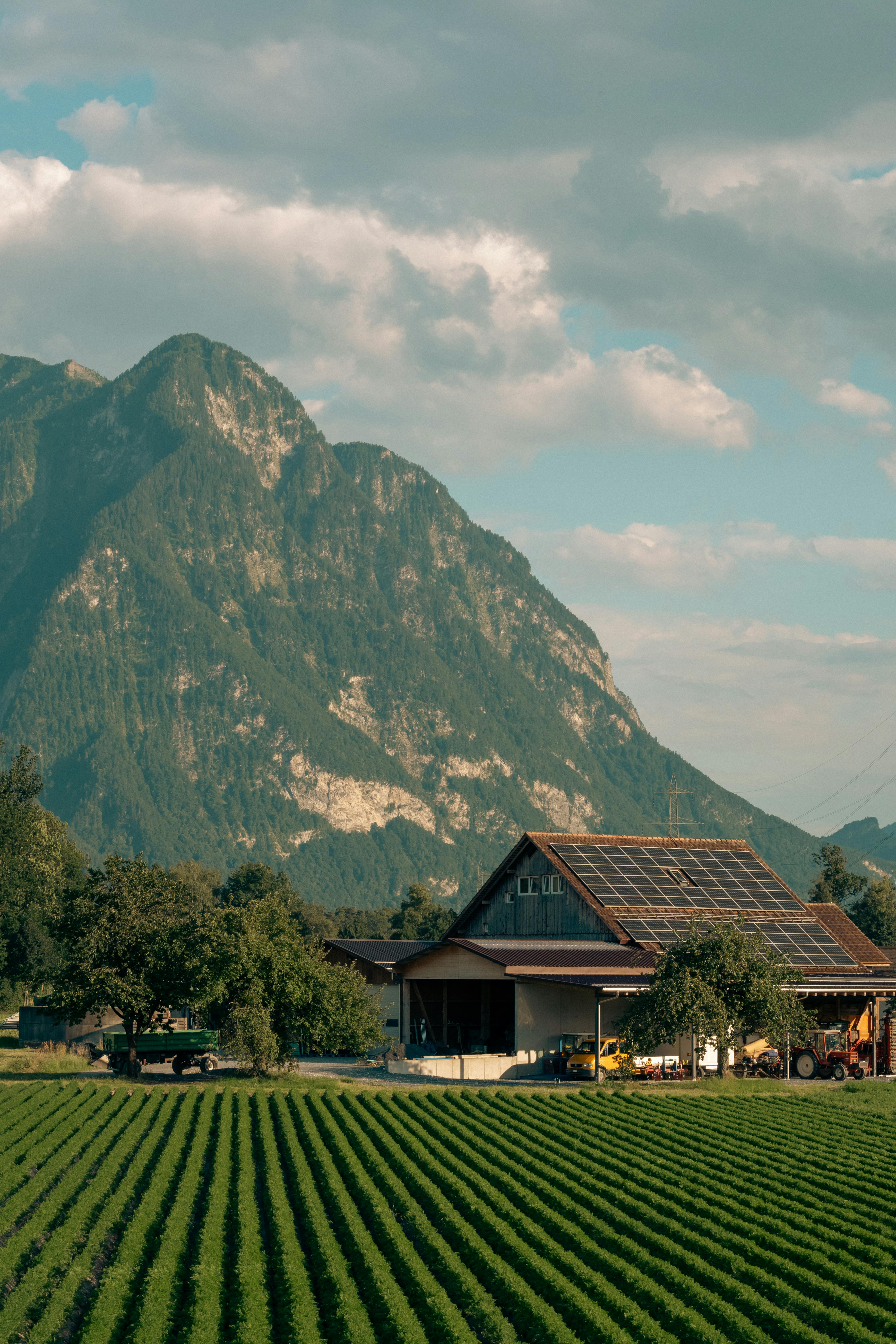 Nature Pfp Photos, Download The BEST Free Nature Pfp Stock Photos & HD ...