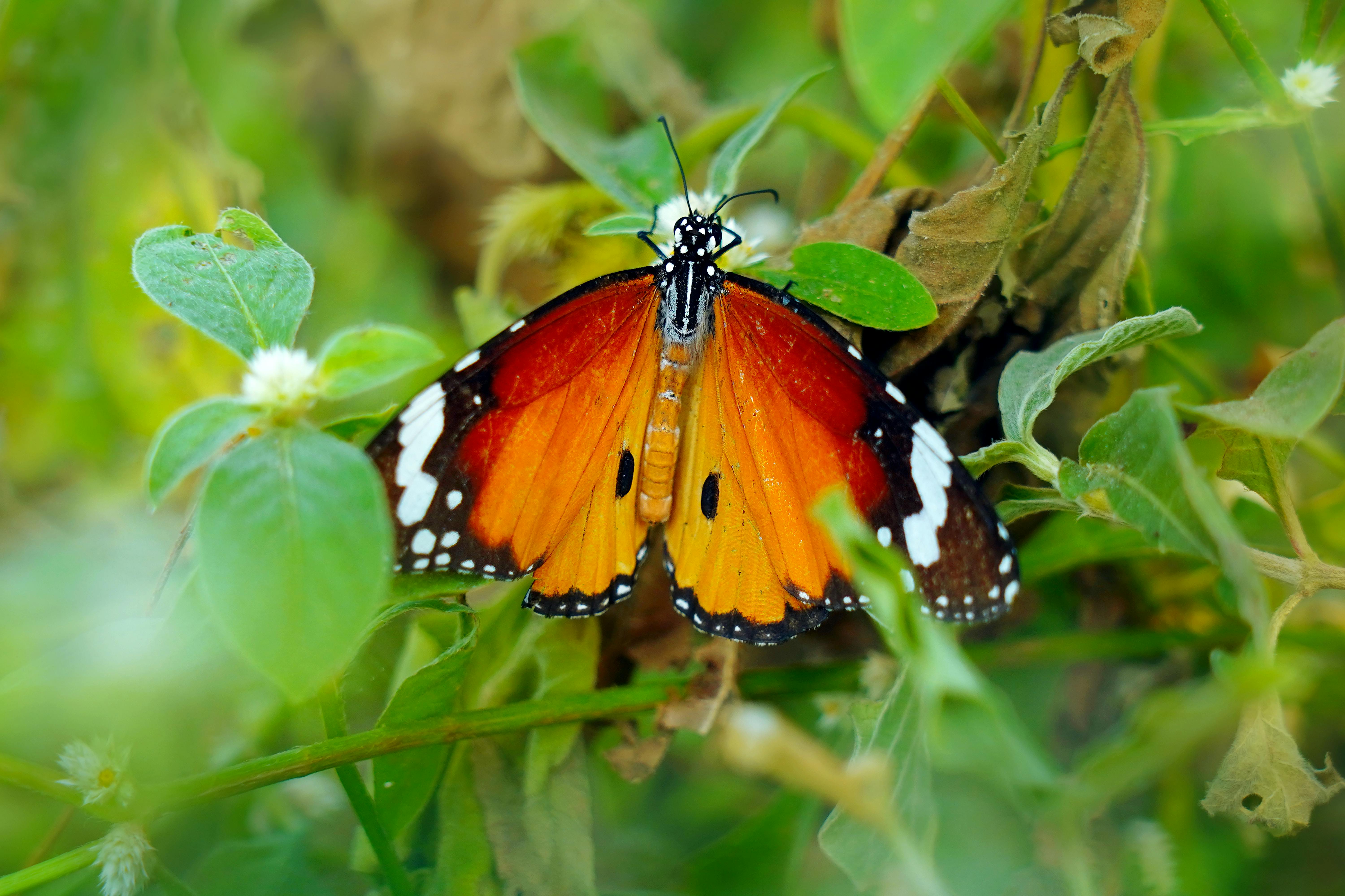 Ann+Rohmer+Photos Photos, Download The BEST Free Ann+Rohmer+Photos ...