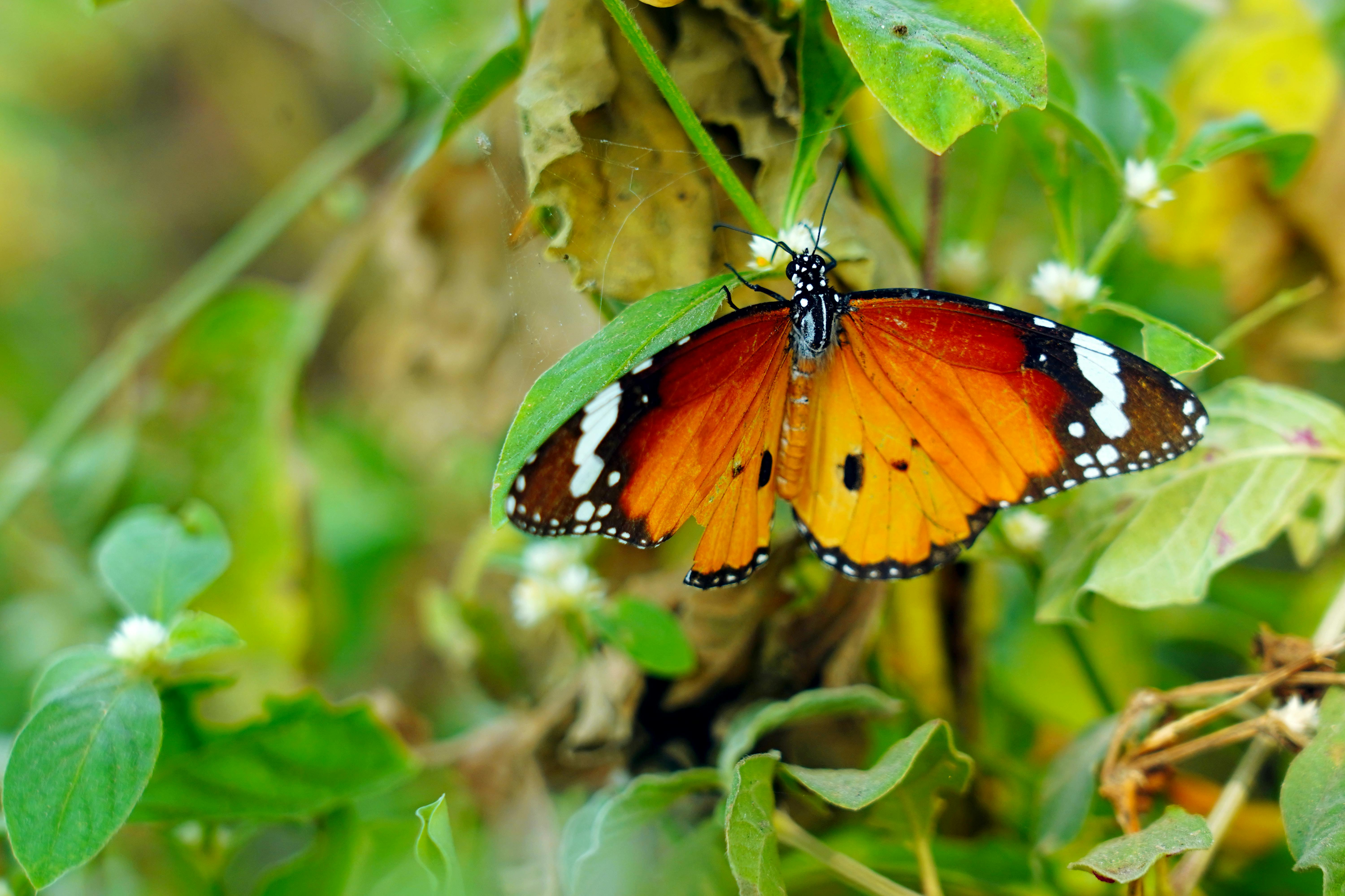 Selected Photos, Download The BEST Free Selected Stock Photos & HD Images