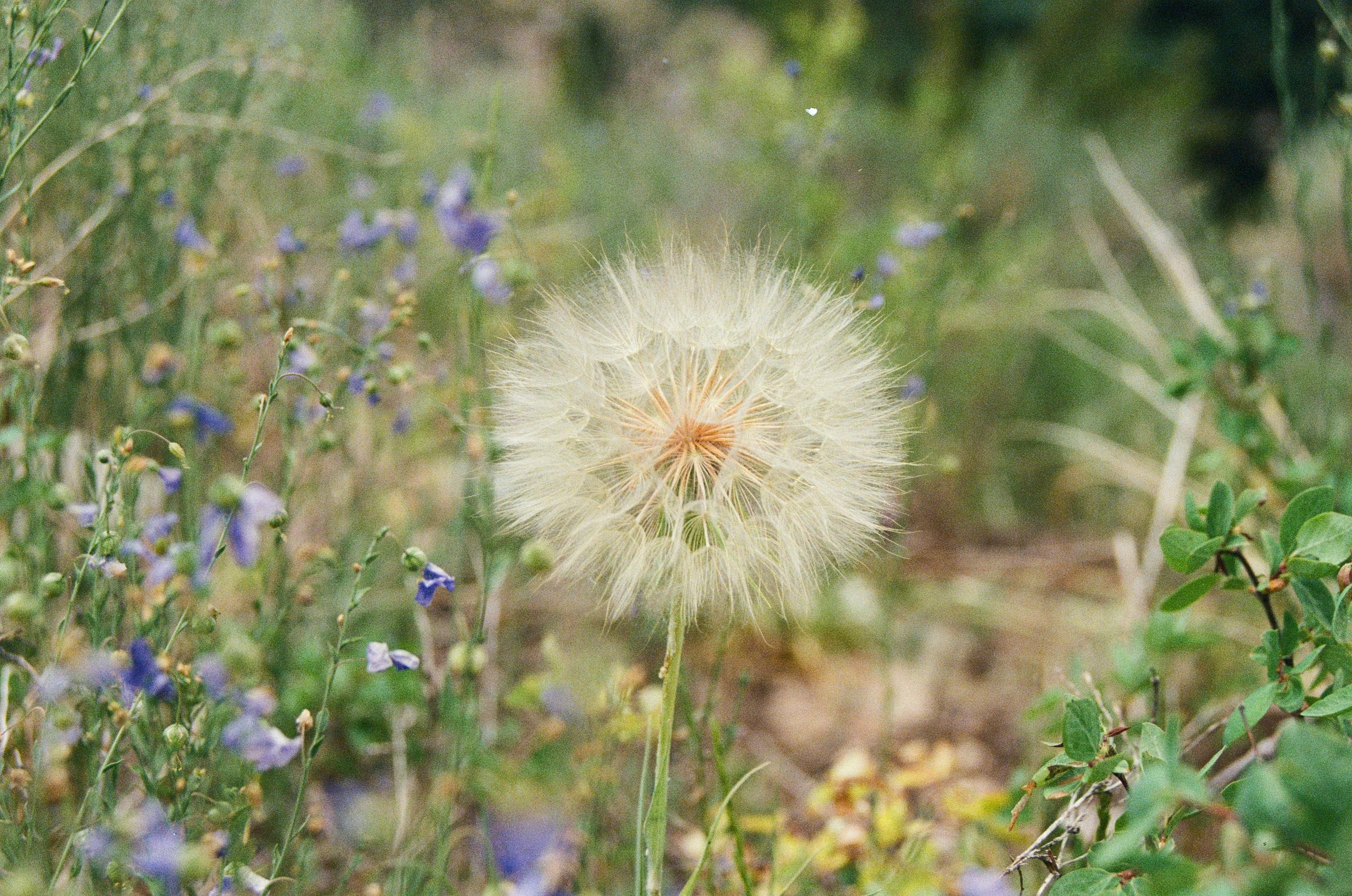 Loopy Background Photos, Download The BEST Free Loopy Background Stock ...