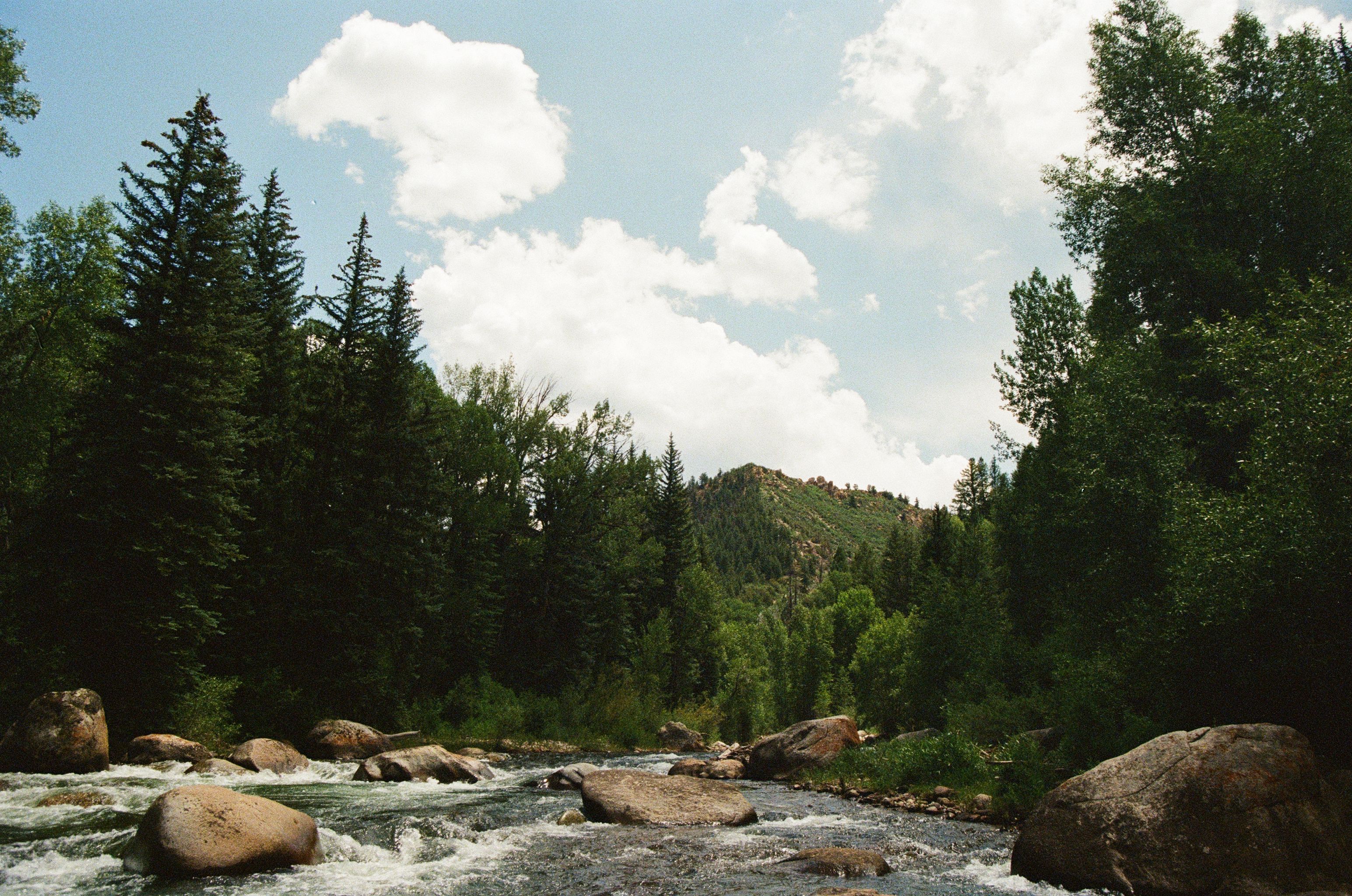 1,000+ Best Brook Photos · 100% Free Download · Pexels Stock Photos