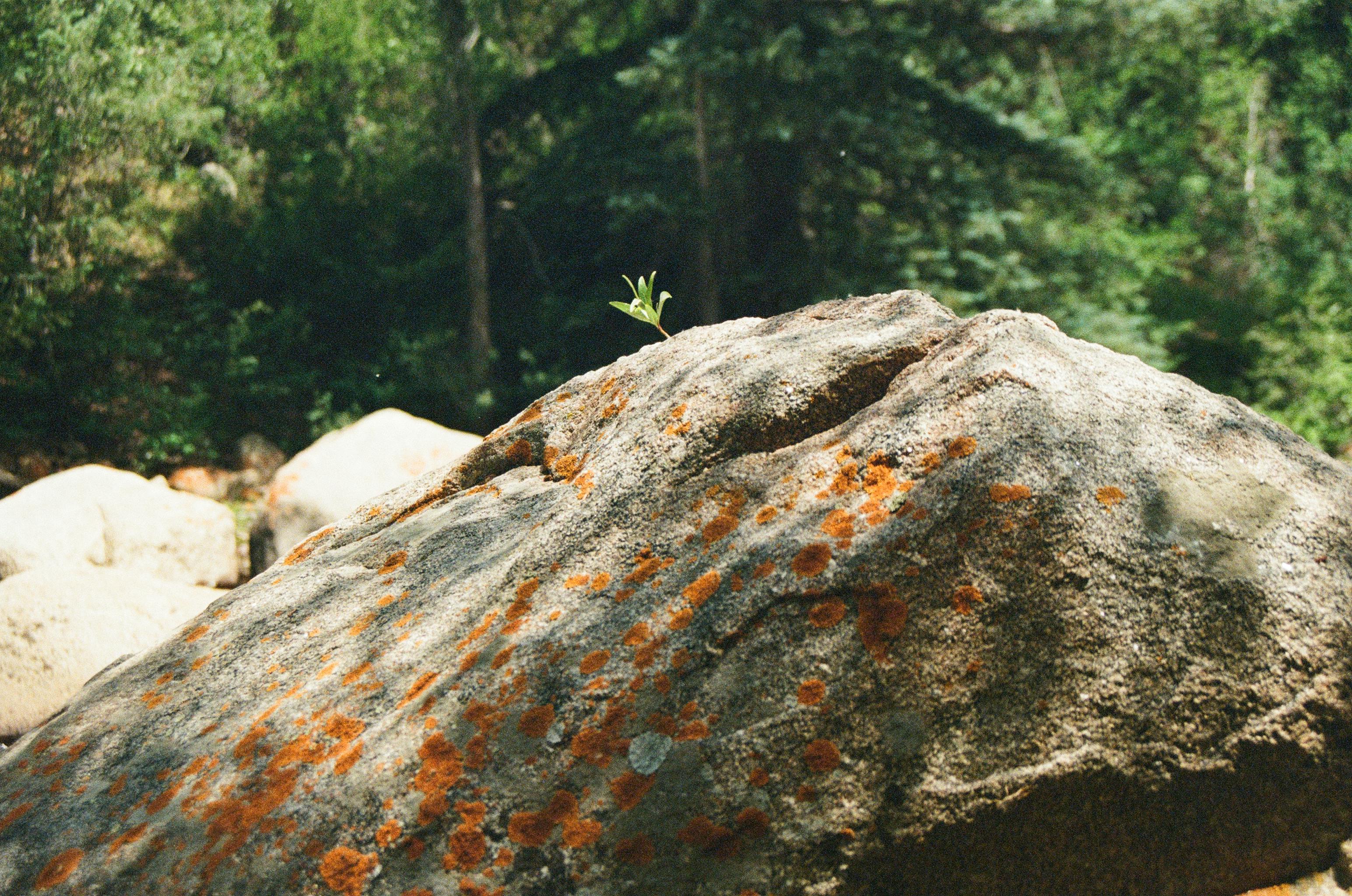 Danielle+Moss+Wallpaper Photos, Download The BEST Free Danielle+Moss ...