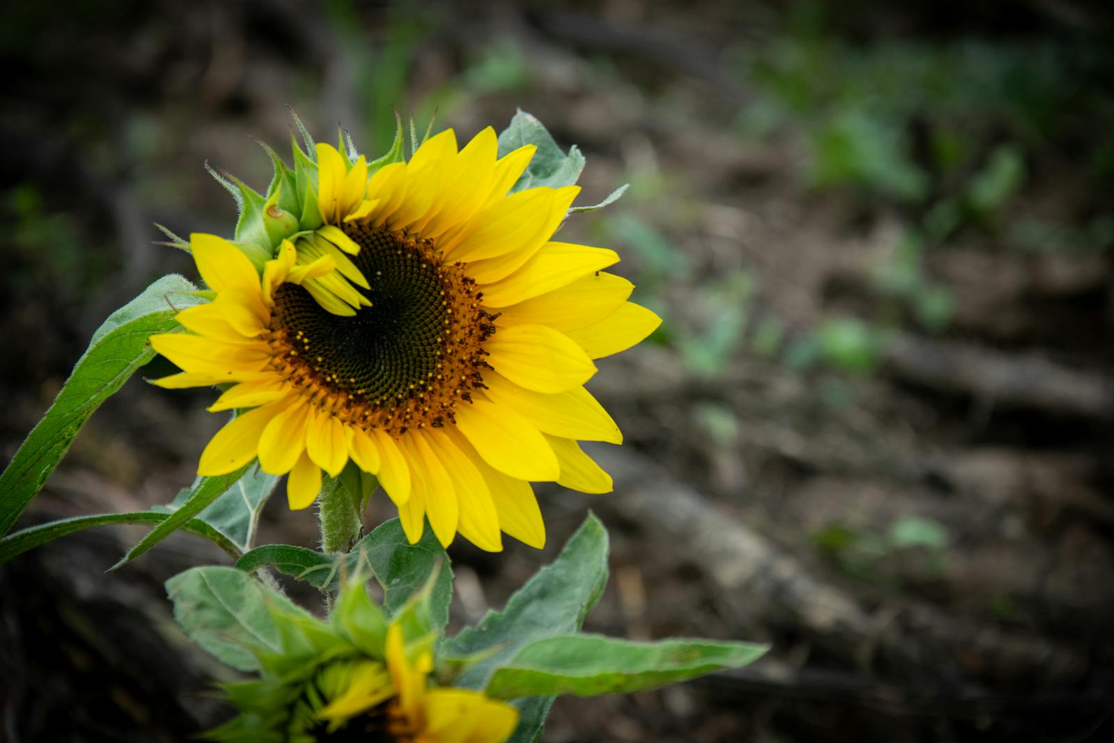 Admin Background Photos, Download The BEST Free Admin Background Stock ...