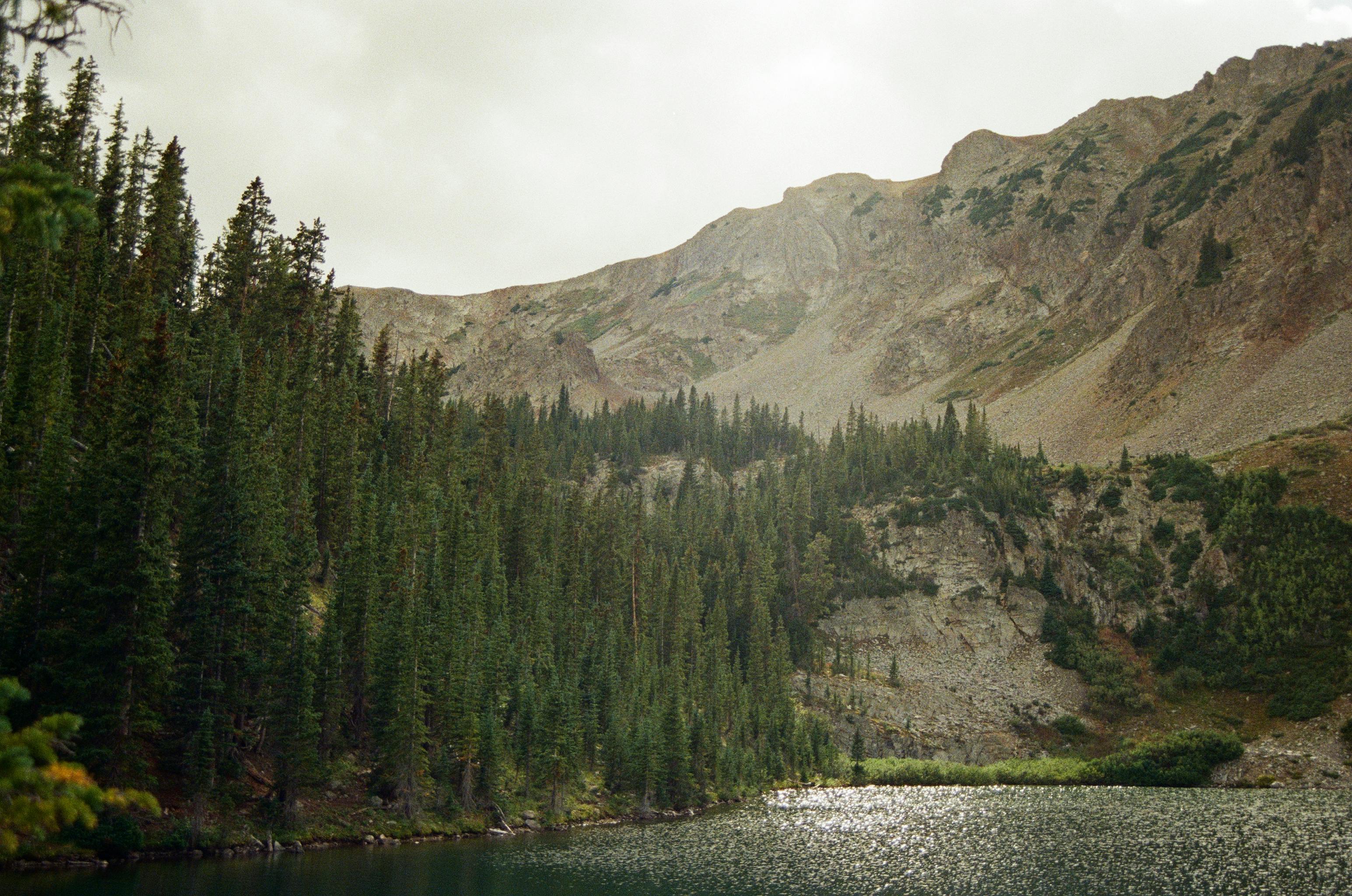 Biome Photos, Download The BEST Free Biome Stock Photos & HD Images