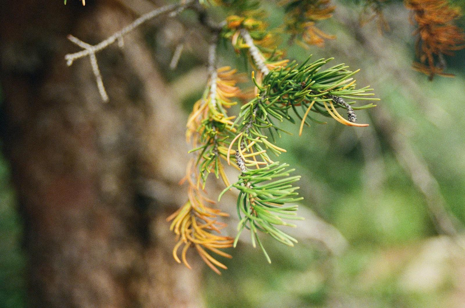 Transition Photos, Download The BEST Free Transition Stock Photos & HD ...