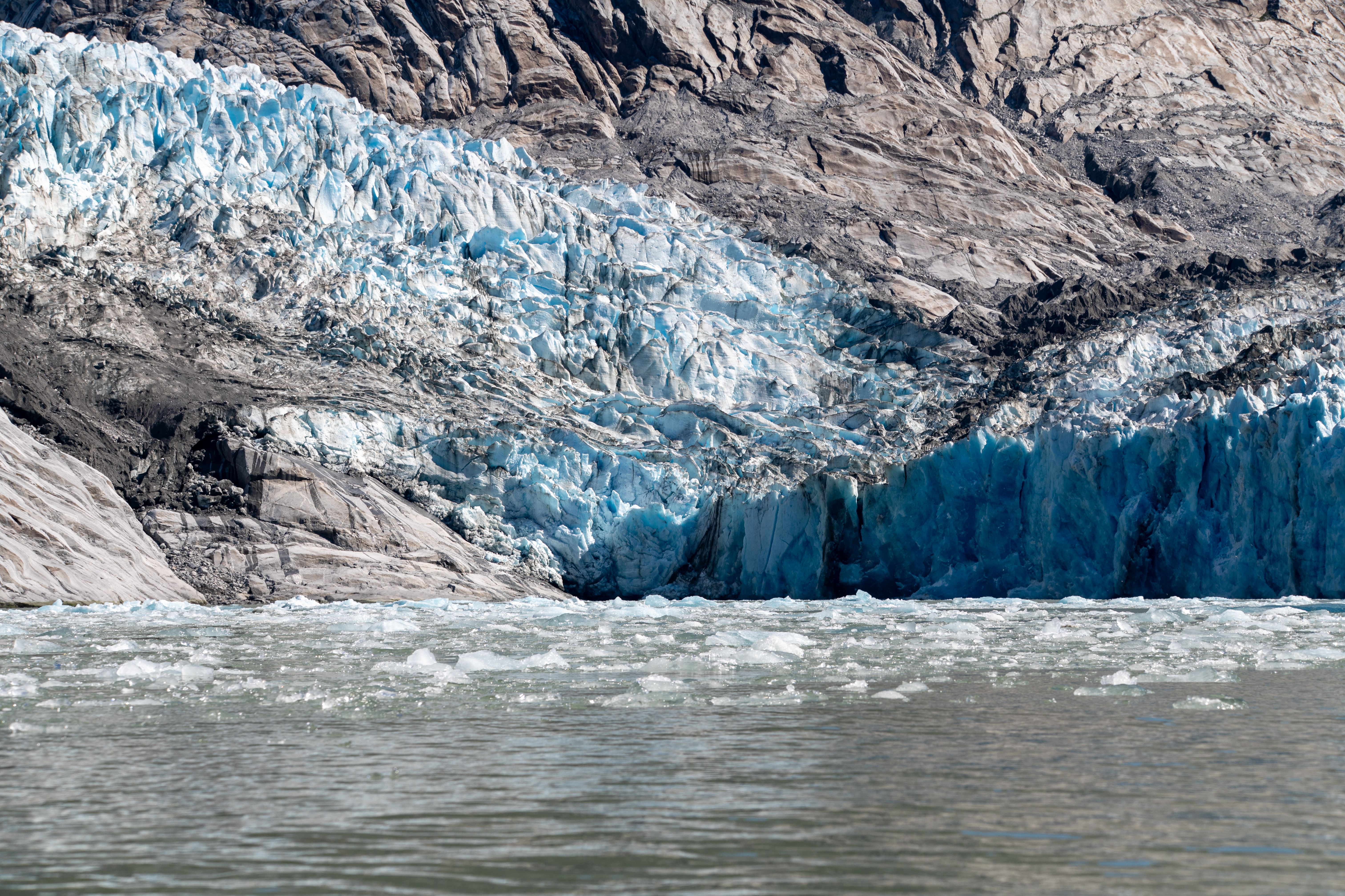 Dawes Glacier in Summer at Endicott Arm, Alaska · Free Stock Photo