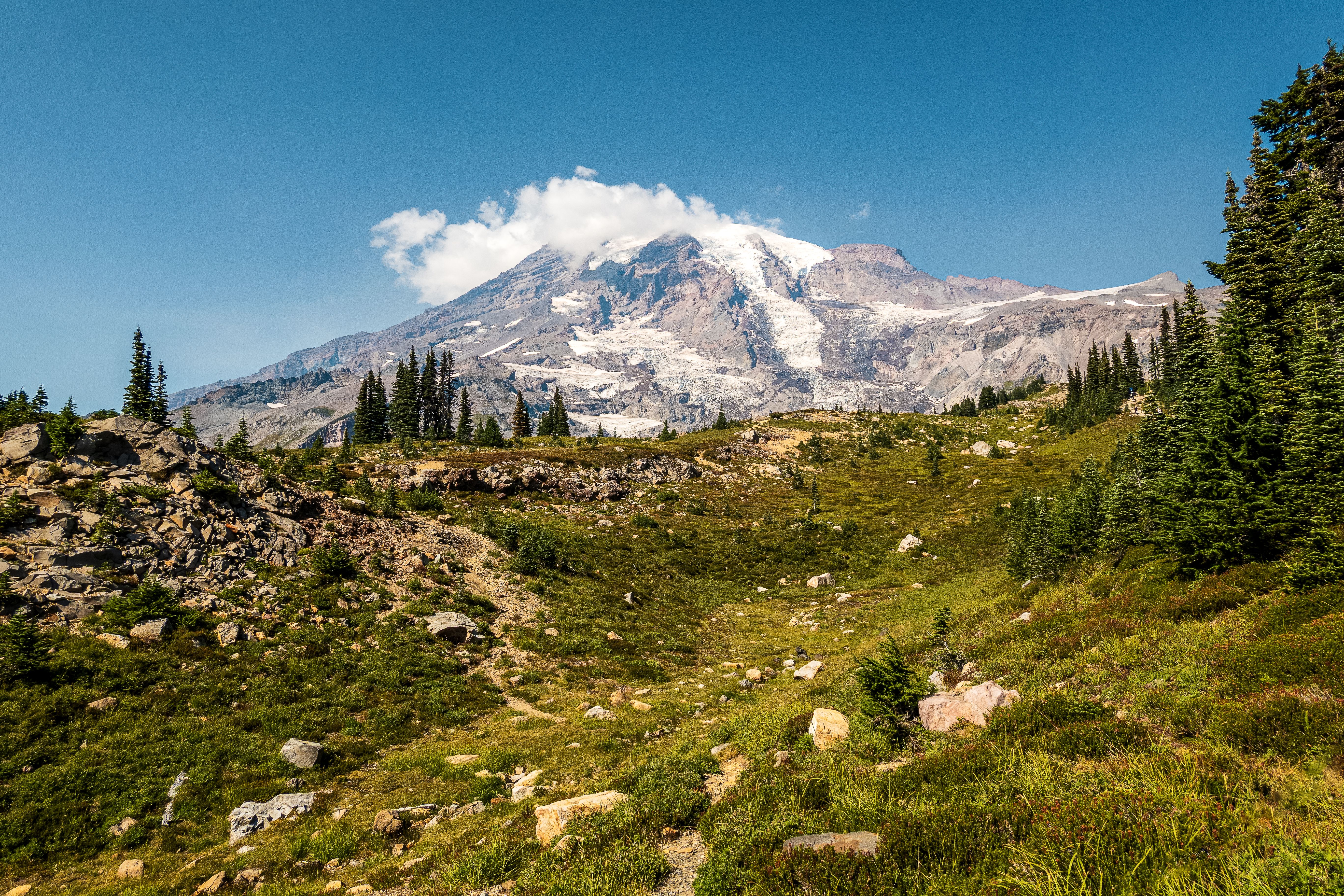 Breathtaking View of Mount Rainier National Park · Free Stock Photo