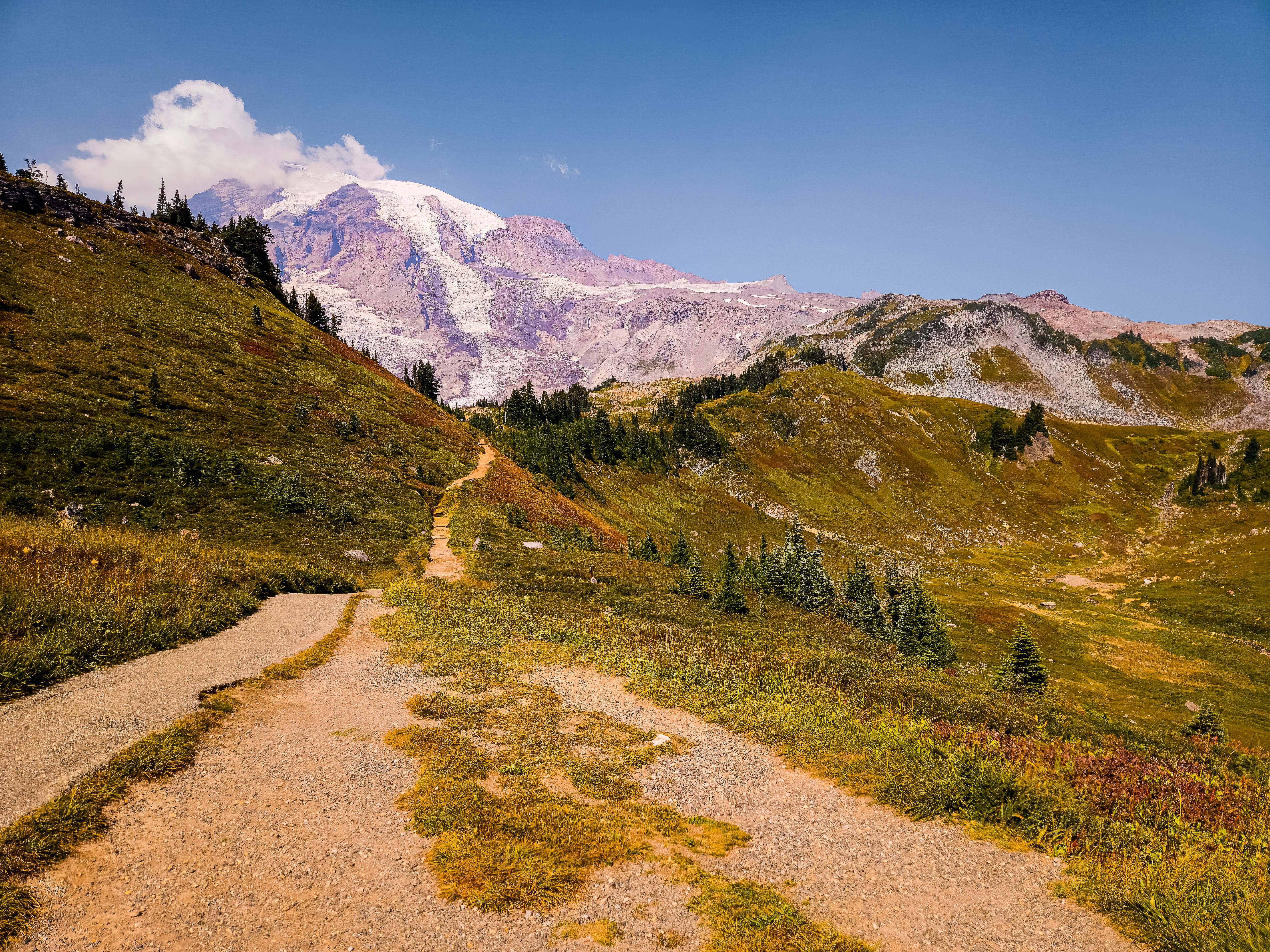 Scenic Trail View of Mount Rainier in Summer · Free Stock Photo