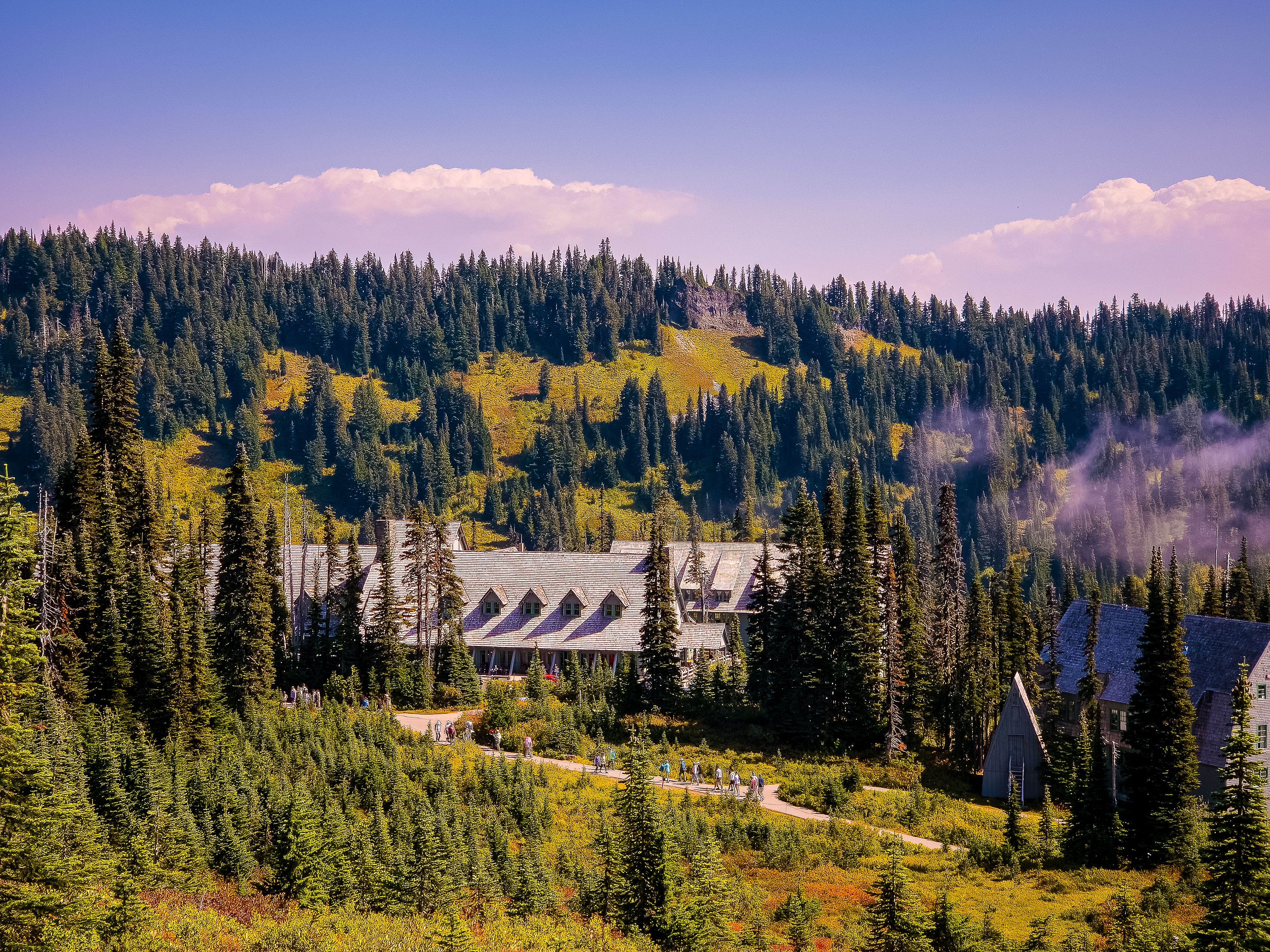 Green Scenery Photos, Download The BEST Free Green Scenery Stock Photos ...