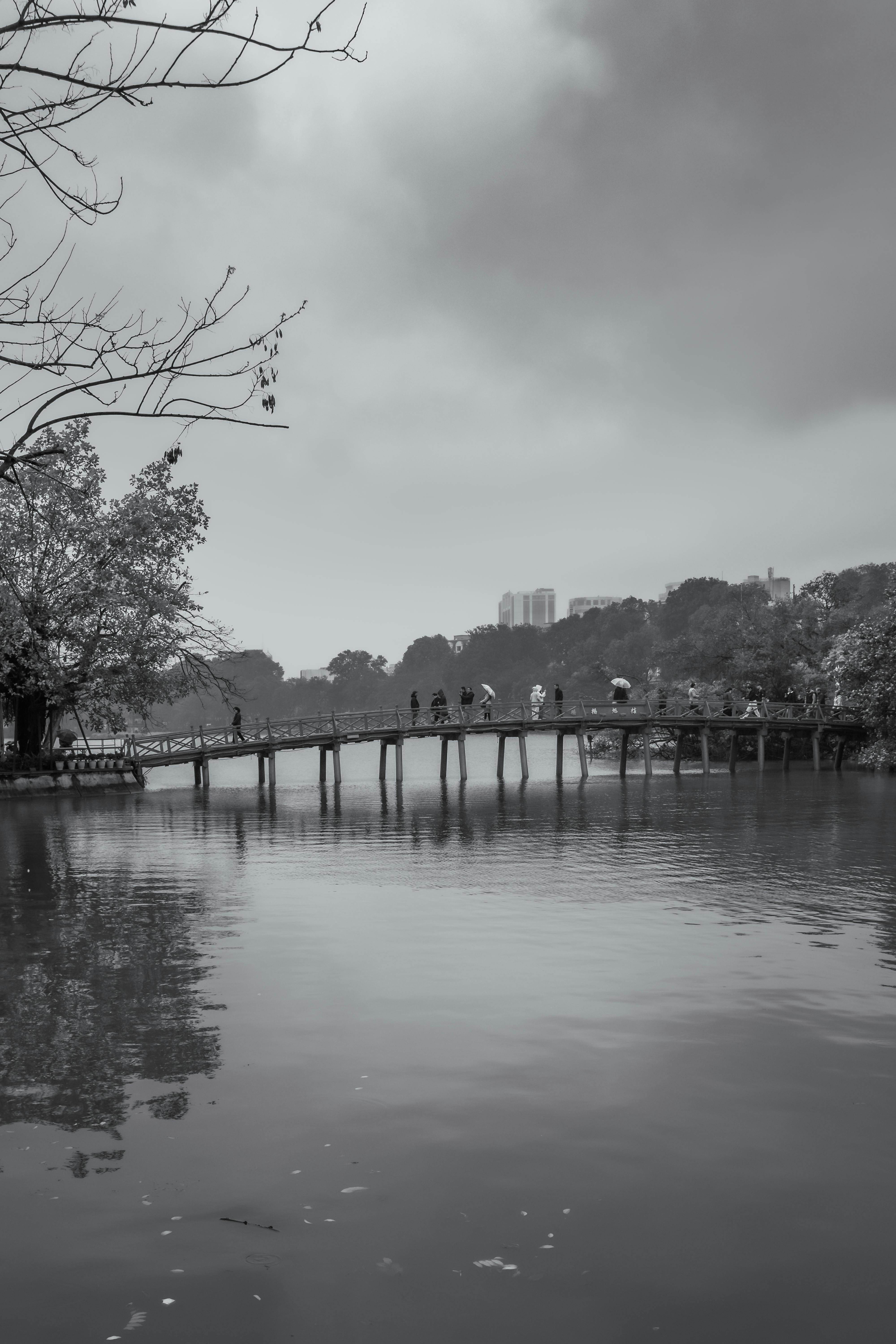 Aesthetic+Pfp+Girl Photos, Download The BEST Free Aesthetic+Pfp+Girl ...