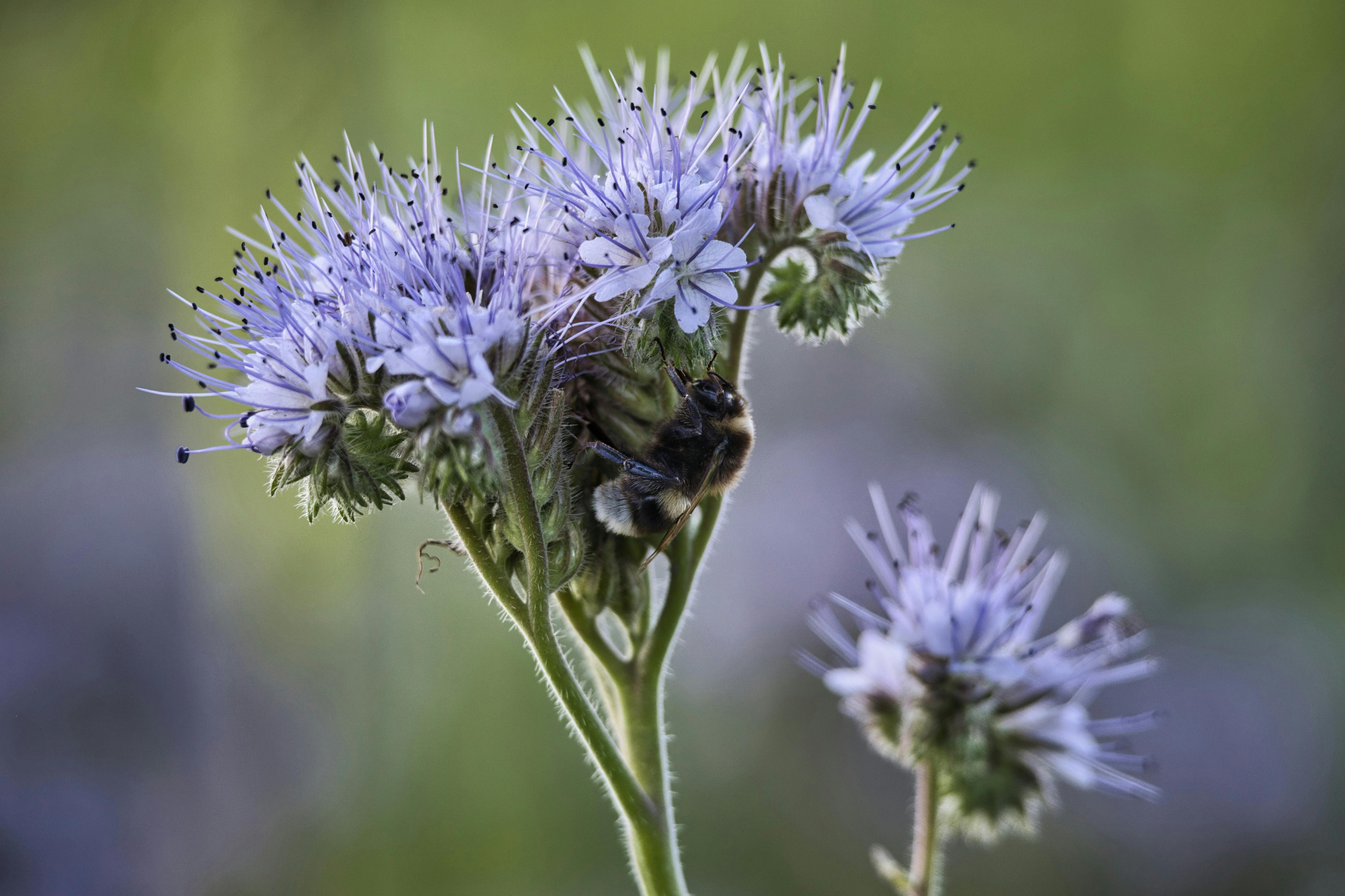 Teams+Background+Taylor+Swift Photos, Download The BEST Free Teams ...