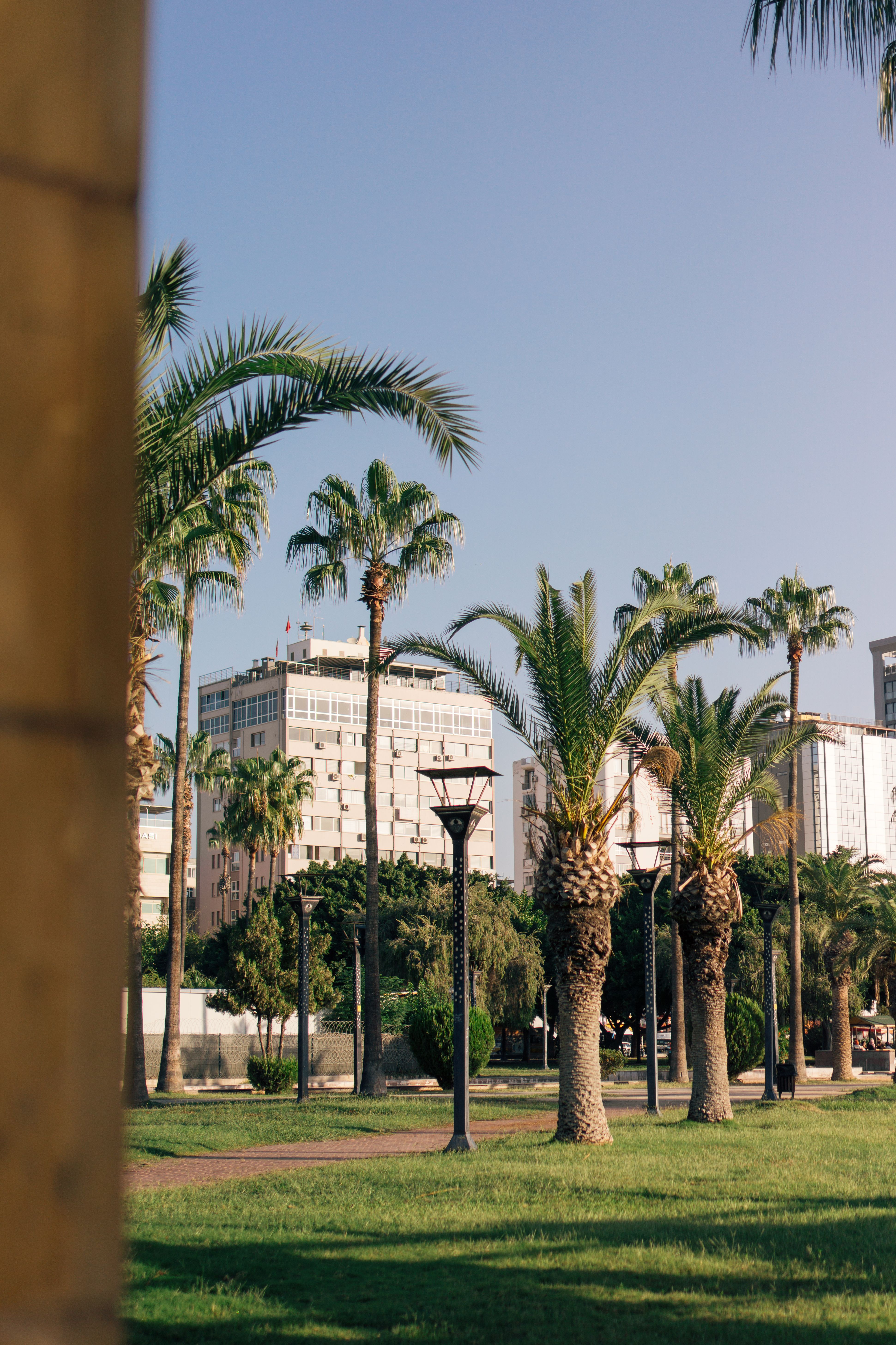 Scenic Palm Tree Lined Park in Mersin, Türkiye · Free Stock Photo