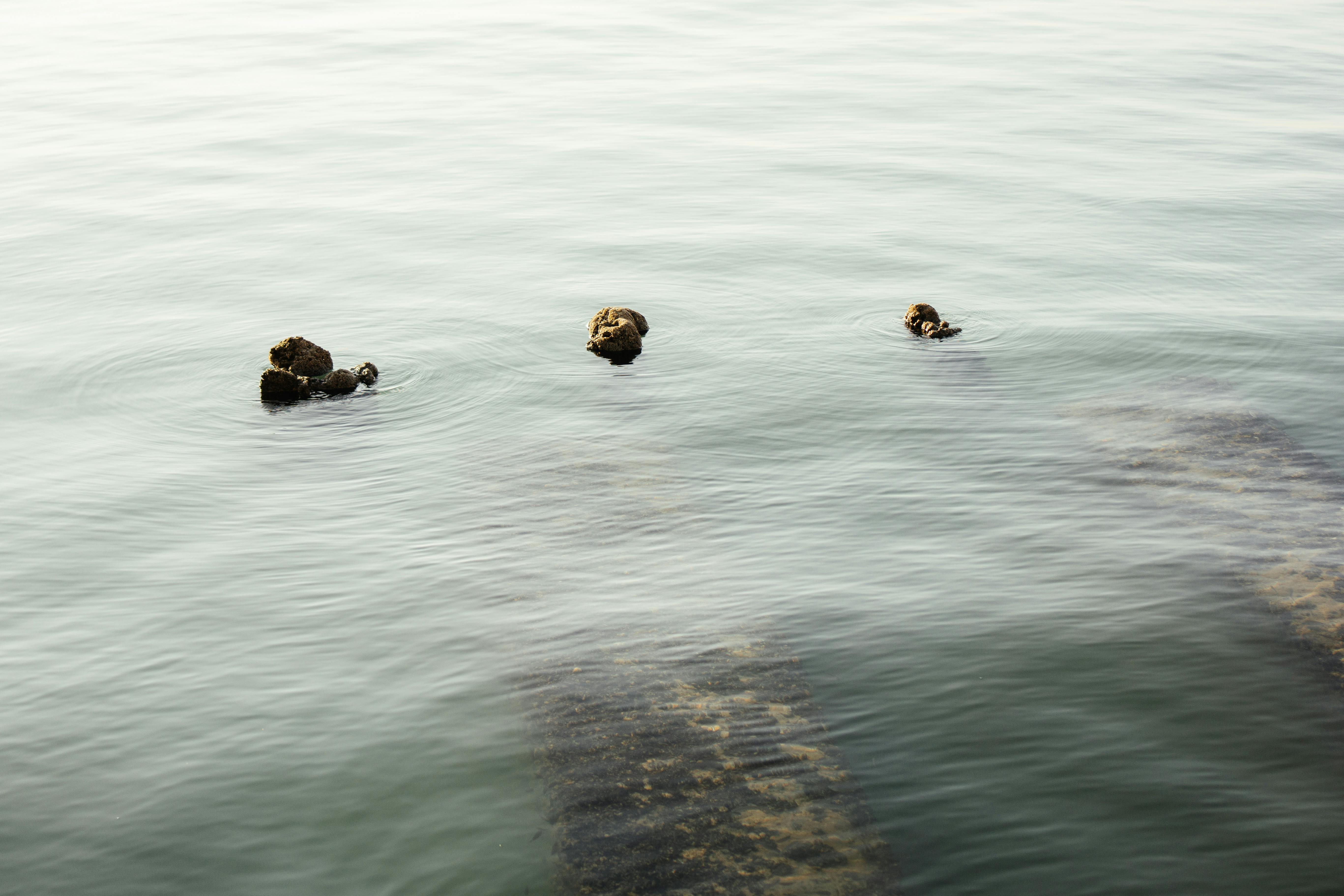 Shiziguan+Floating+Bridge+In+Hubei,+China Photos, Download The BEST ...