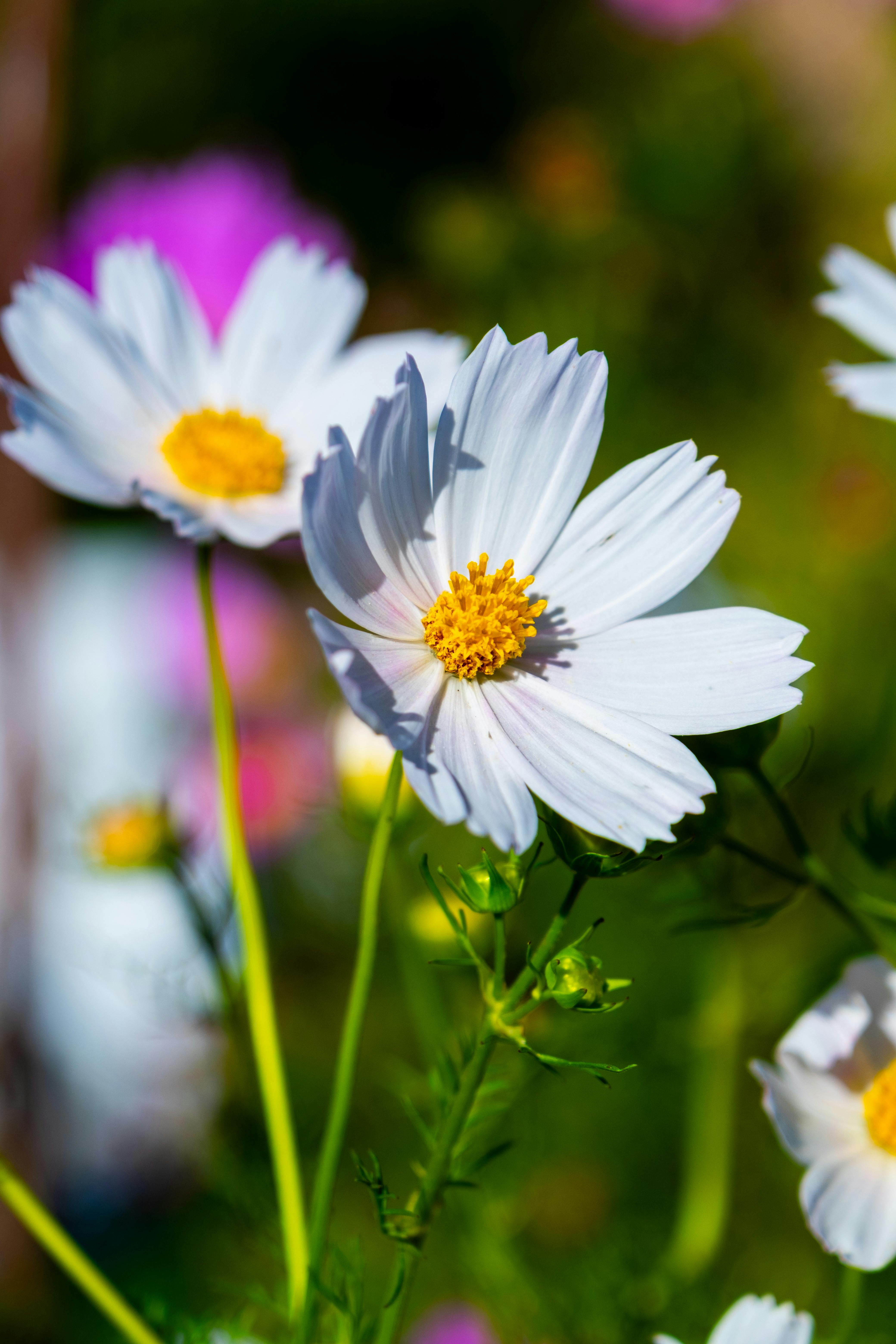 Teams+Background+Taylor+Swift Photos, Download The BEST Free Teams ...