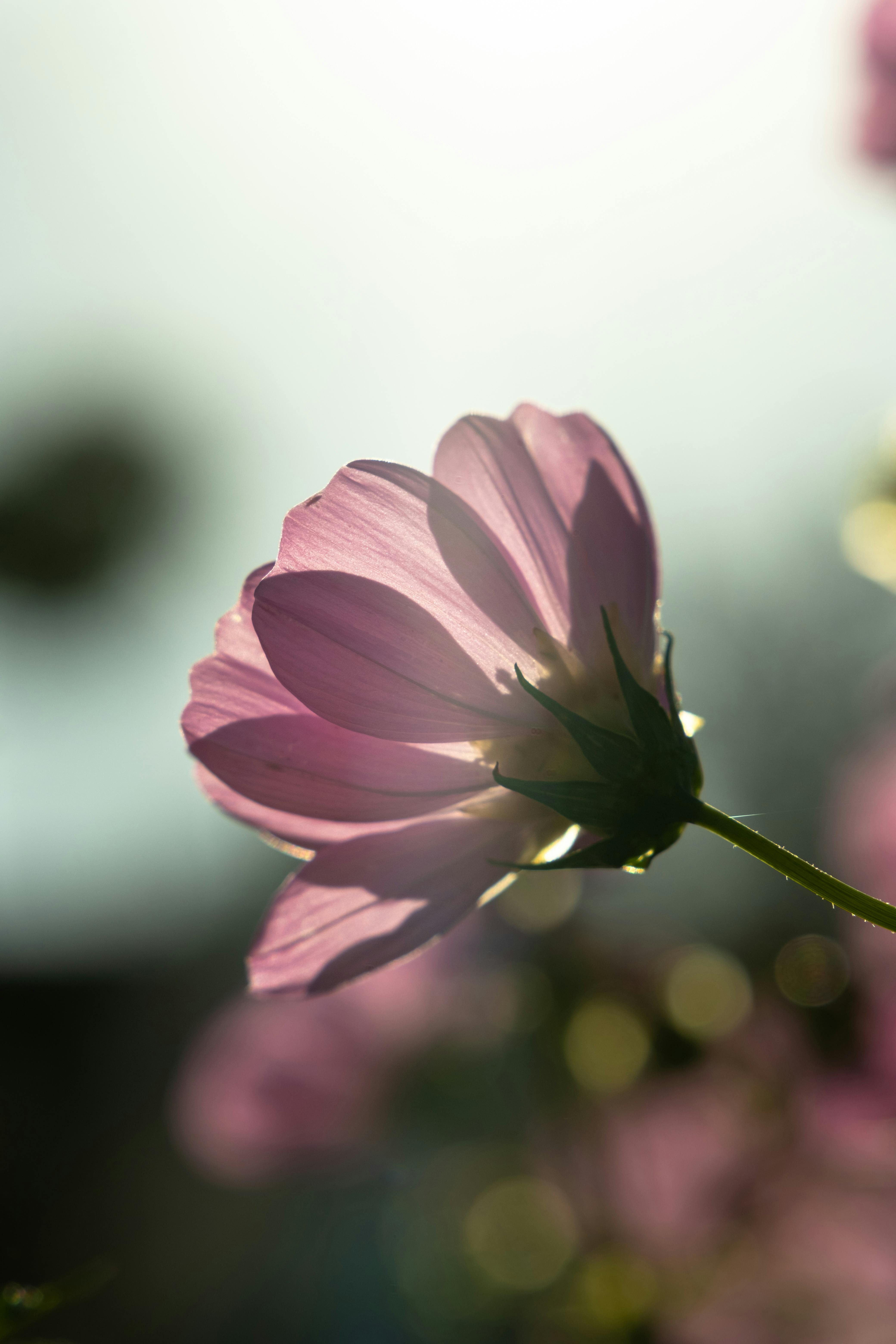 Teams+Background+Taylor+Swift Photos, Download The BEST Free Teams ...