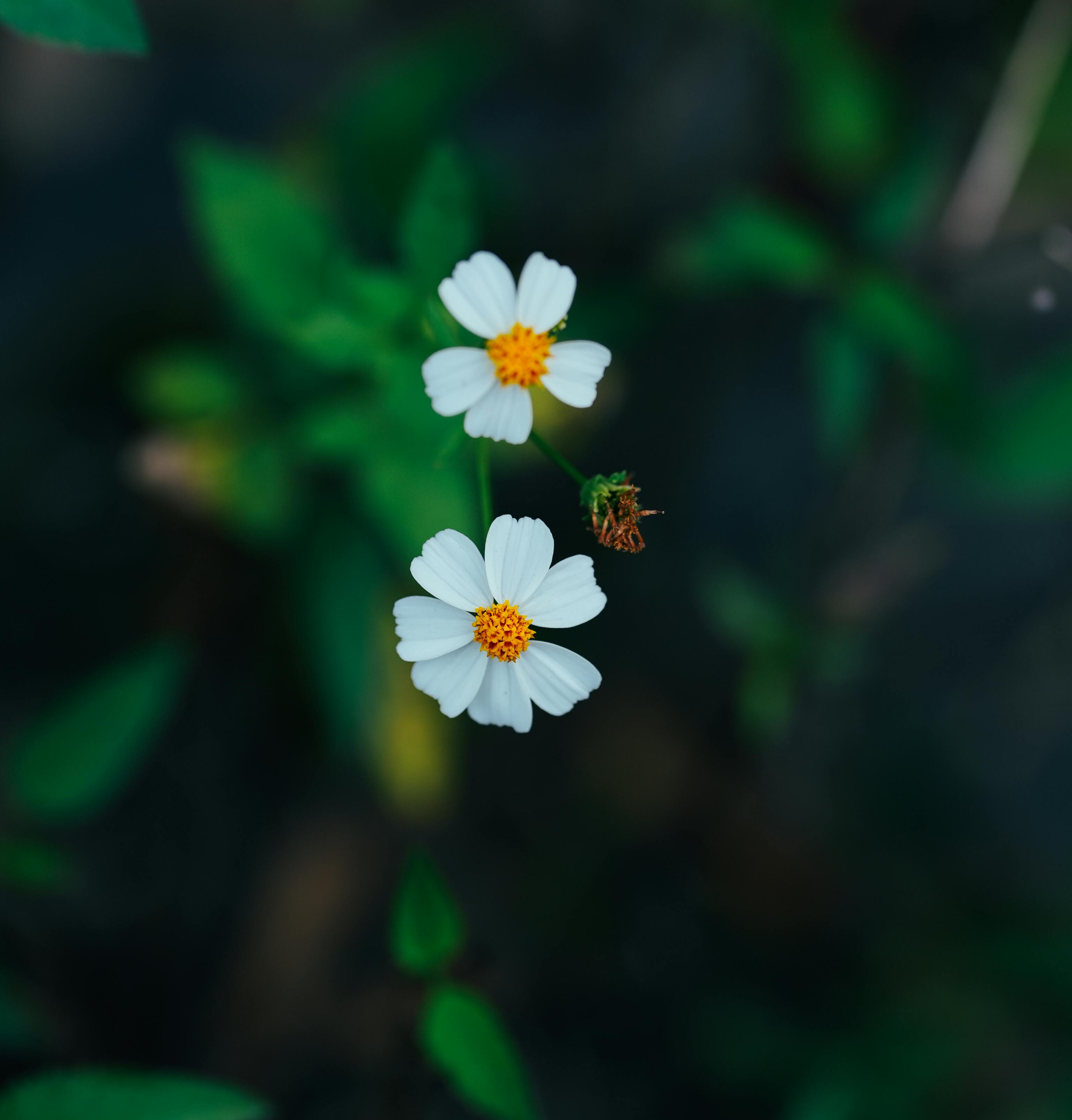 Teams+Background+Taylor+Swift Photos, Download The BEST Free Teams ...