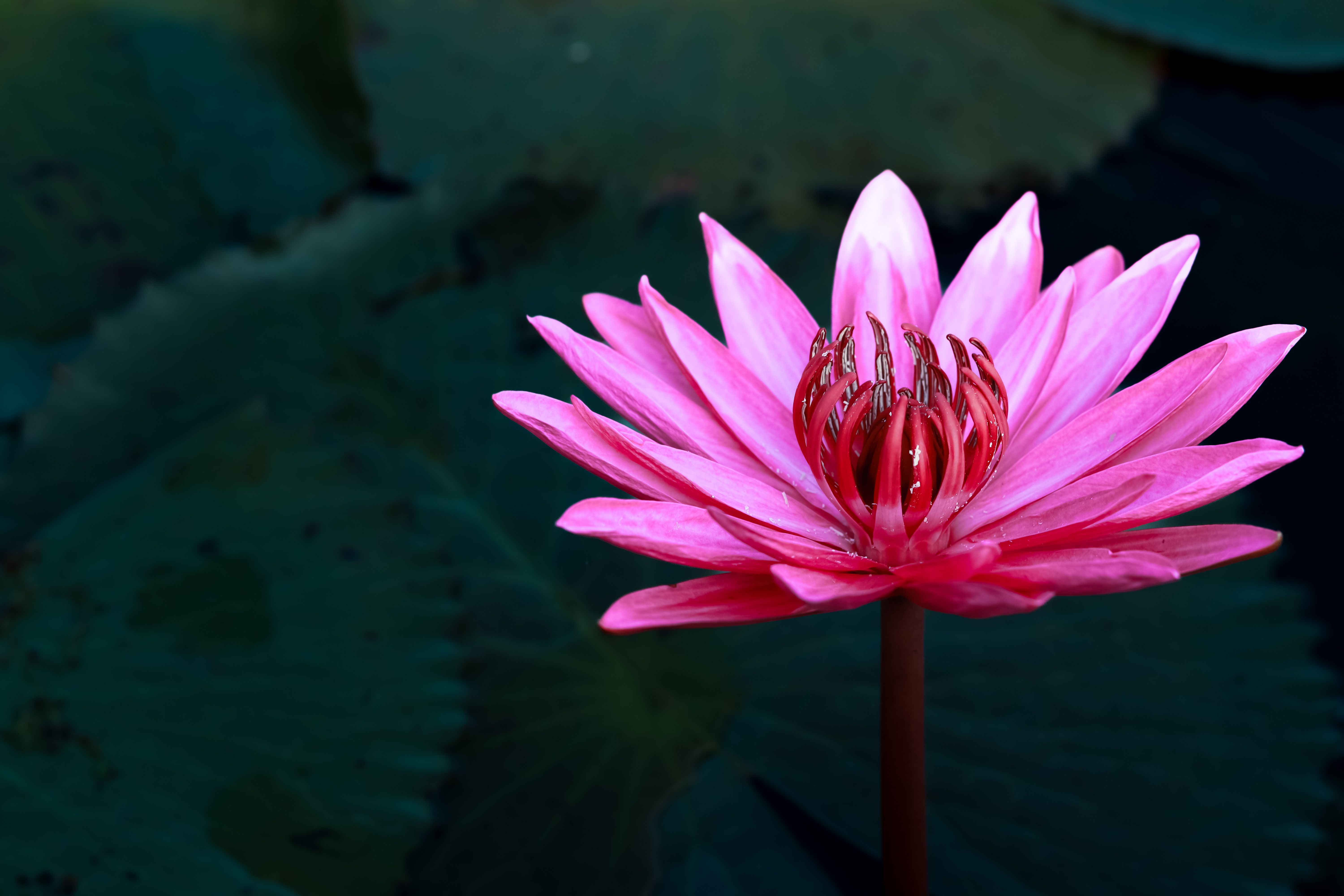 Beautiful Cluds Photos, Download The BEST Free Beautiful Cluds Stock ...