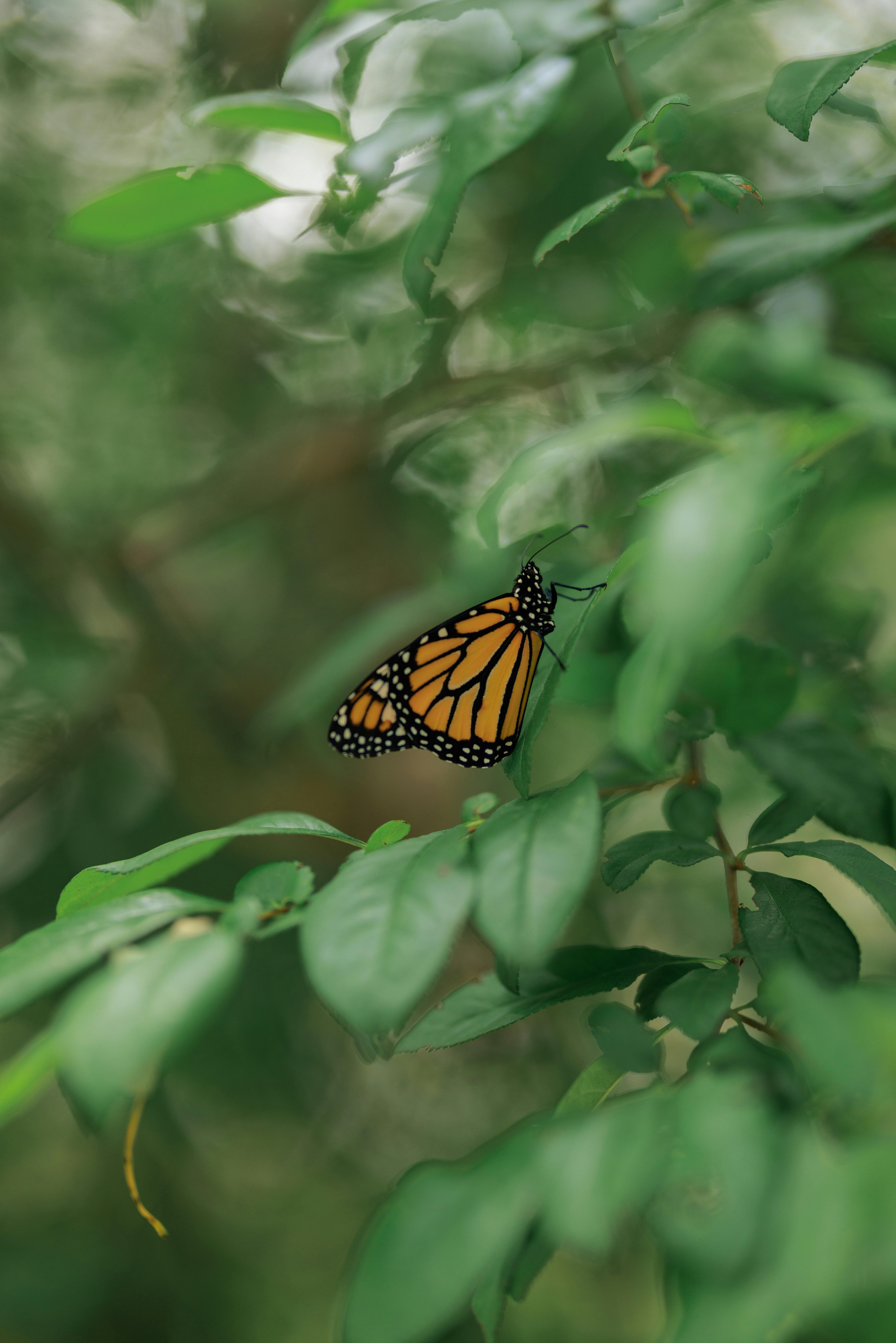 Beauty Parlour Background Photos, Download The BEST Free Beauty Parlour ...