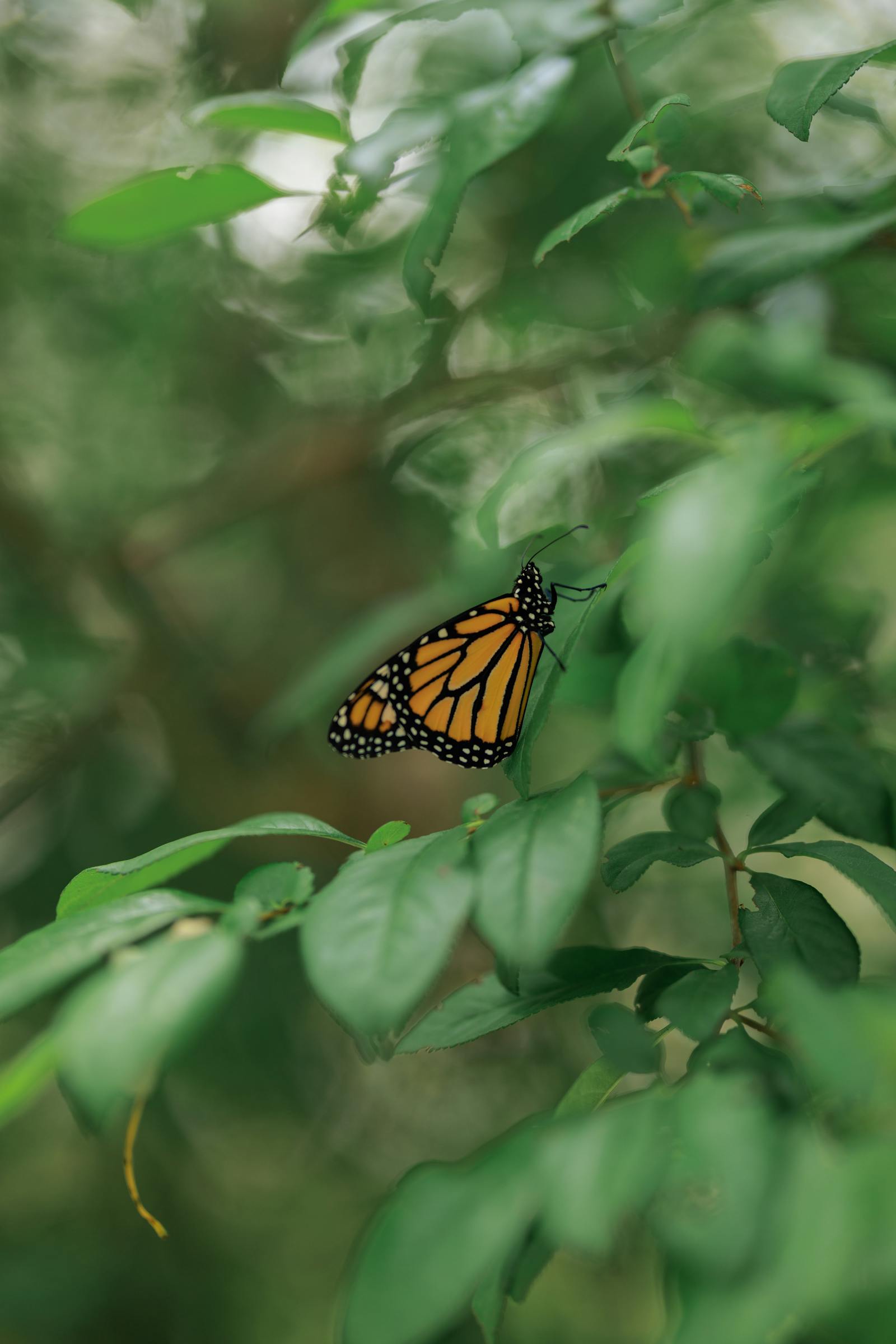 Admin Background Photos, Download The BEST Free Admin Background Stock ...