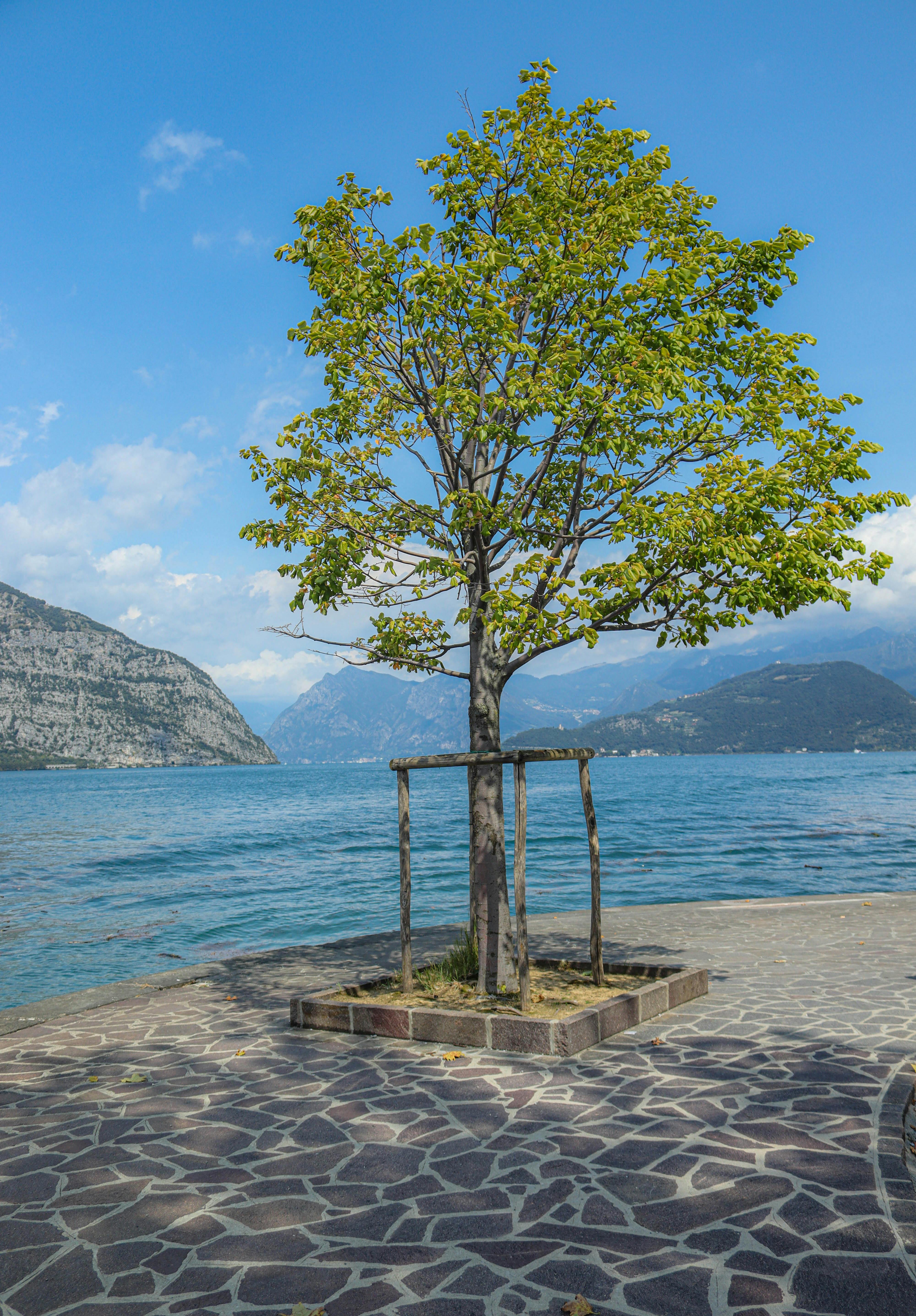 Badhiya+Badhiya+Blue+Bf+Nai+Nai+Ladki Photos, Download The BEST Free ...