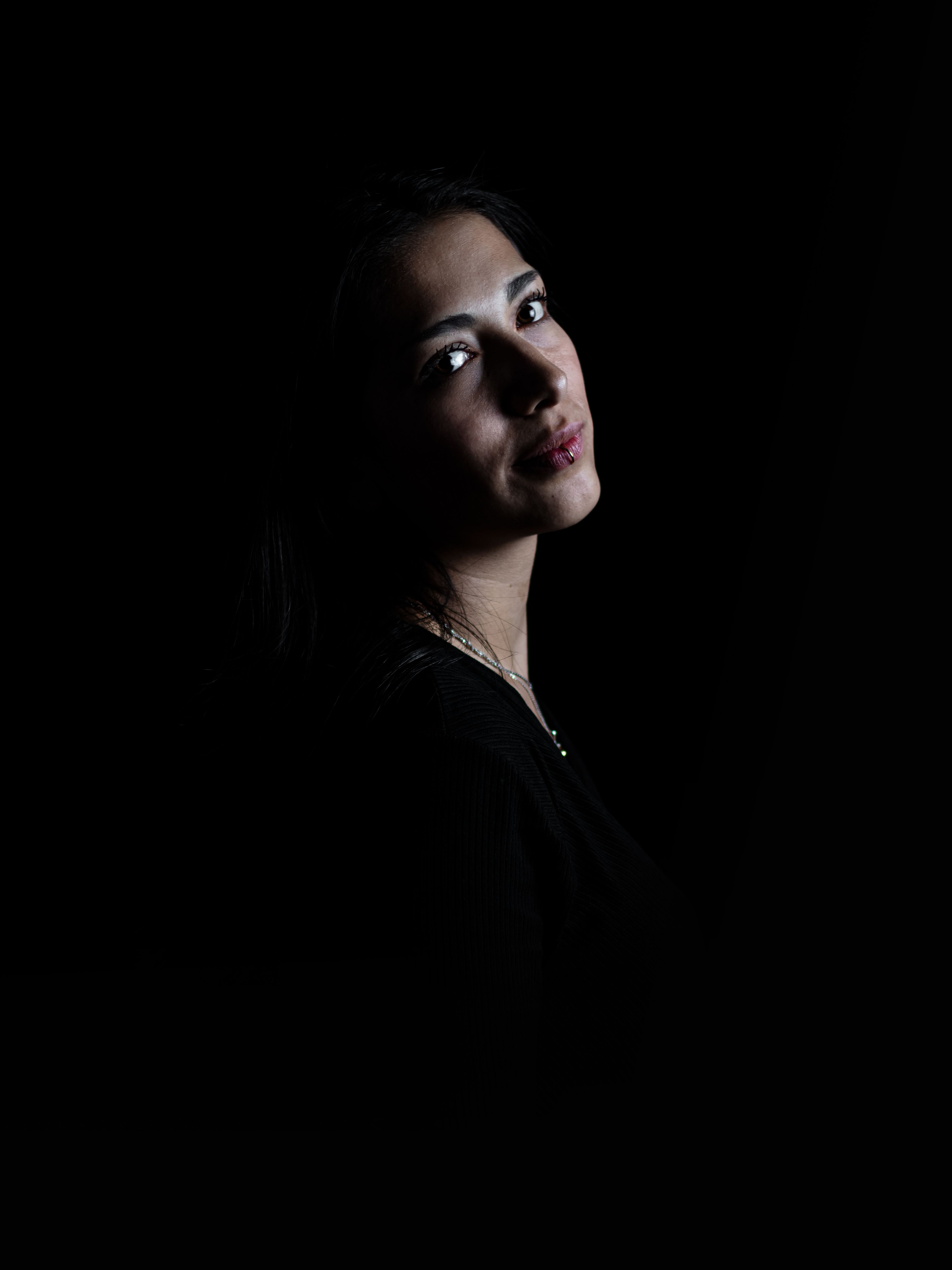 Elegant Portrait of Woman in Dramatic Lighting · Free Stock Photo