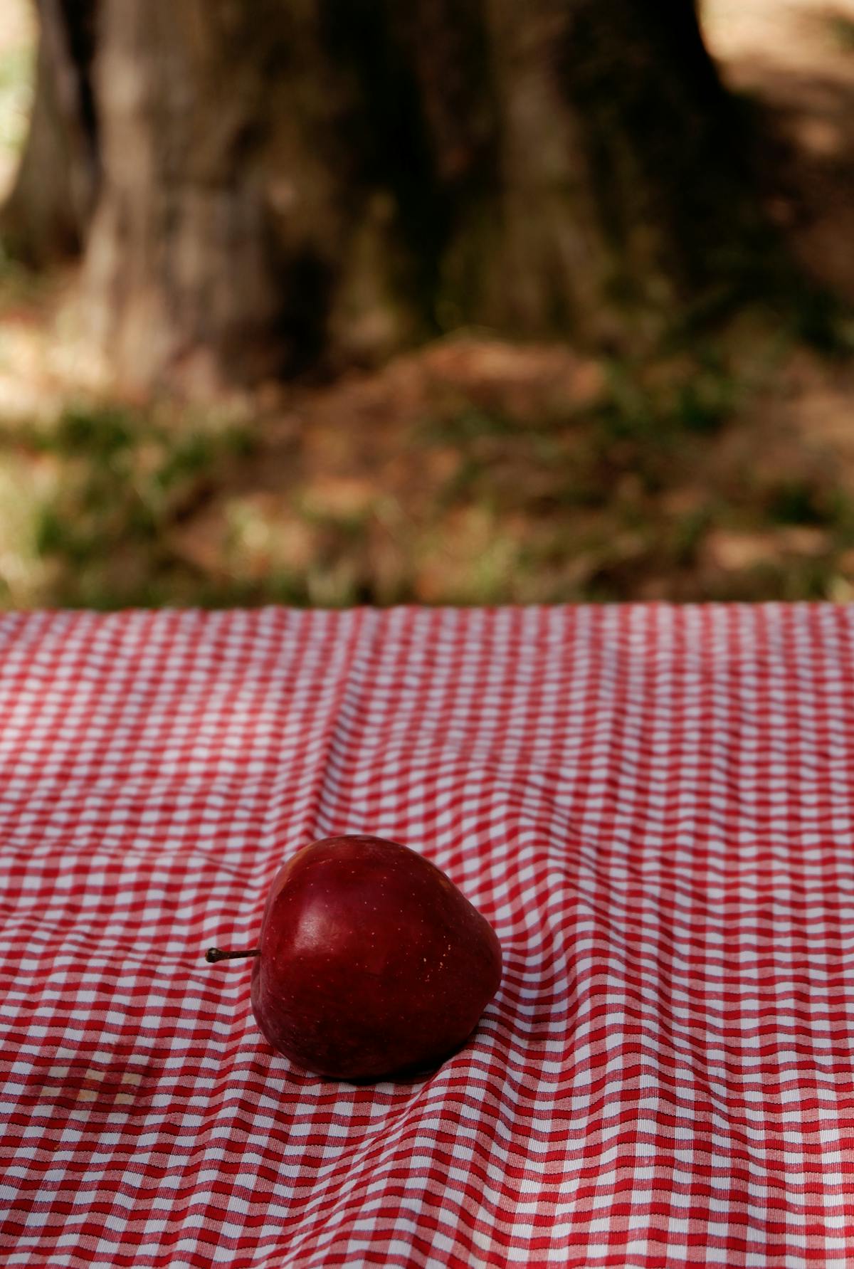 Apple Jpeg Photos, Download The BEST Free Apple Jpeg Stock Photos & HD ...