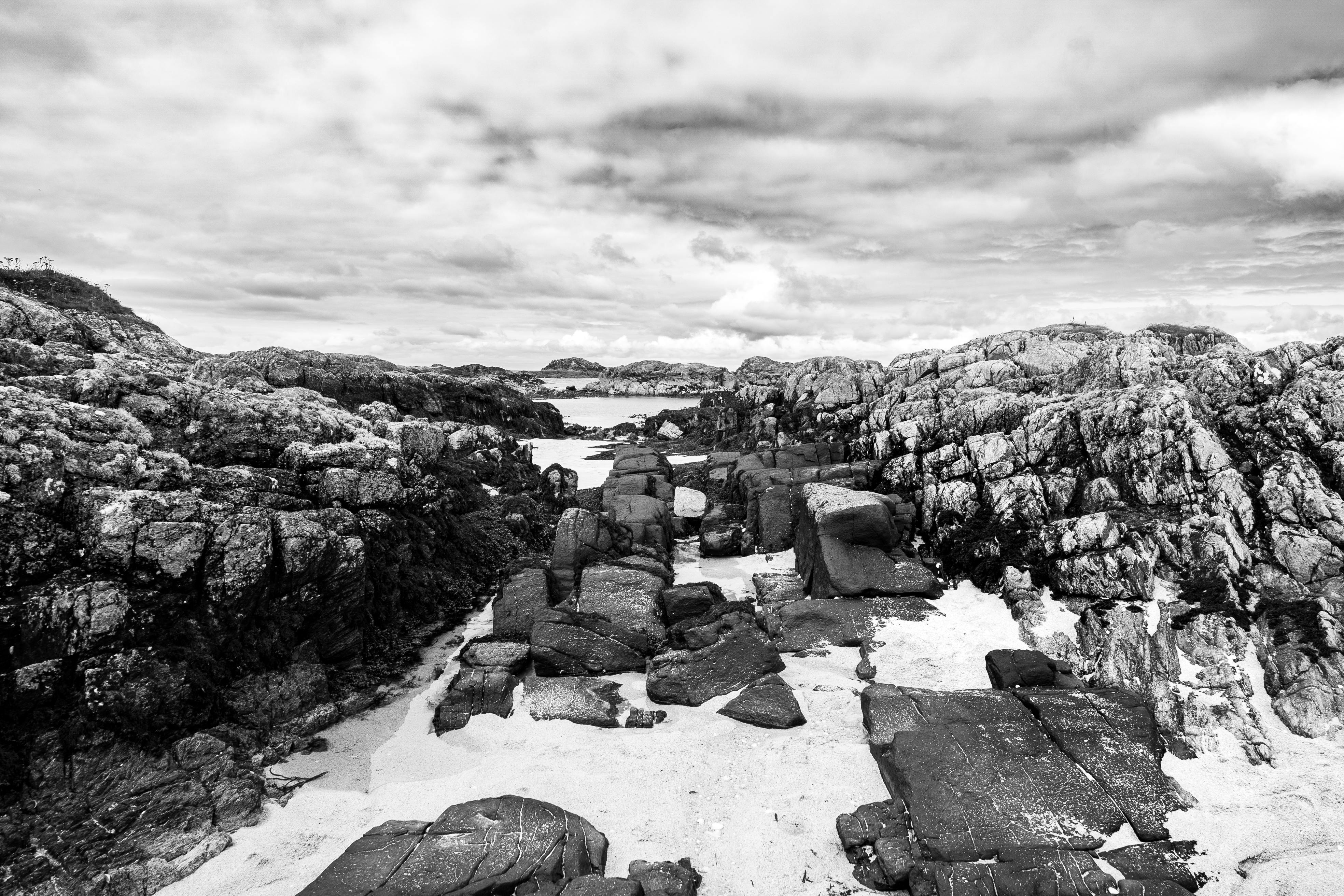 High Contrast Photos, Download The BEST Free High Contrast Stock Photos ...