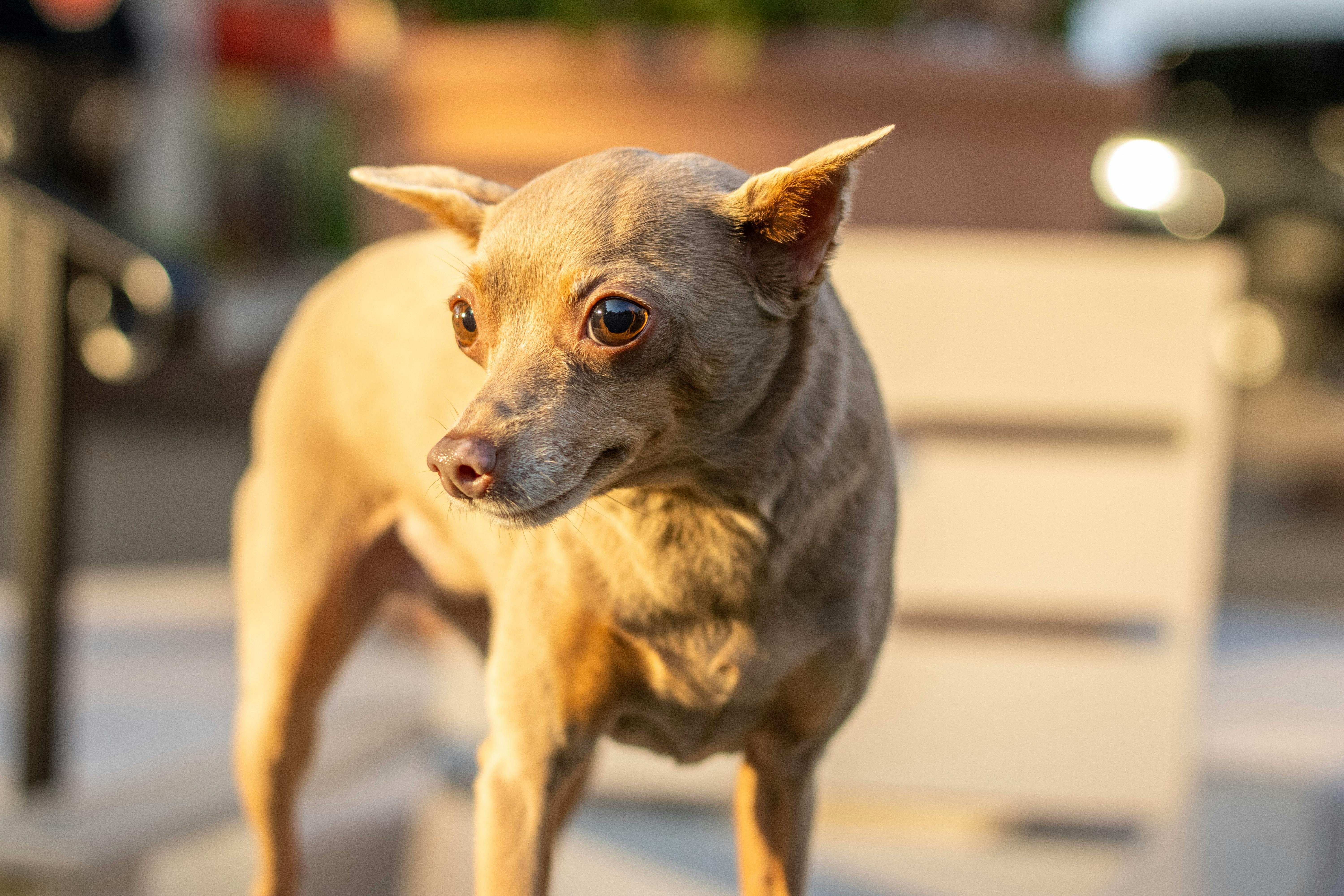 Cute Pfp Photos, Download The BEST Free Cute Pfp Stock Photos & HD Images