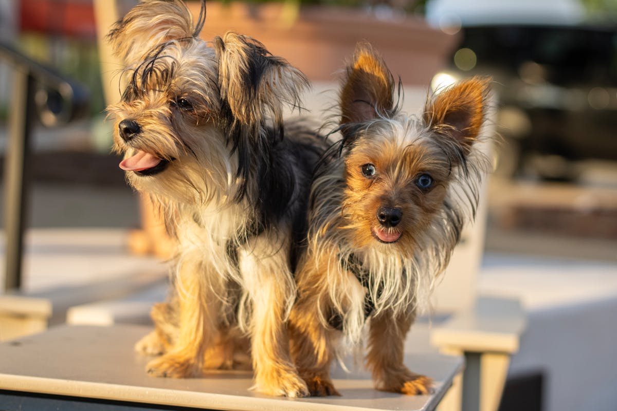 Cute Pfp Photos, Download The BEST Free Cute Pfp Stock Photos & HD Images