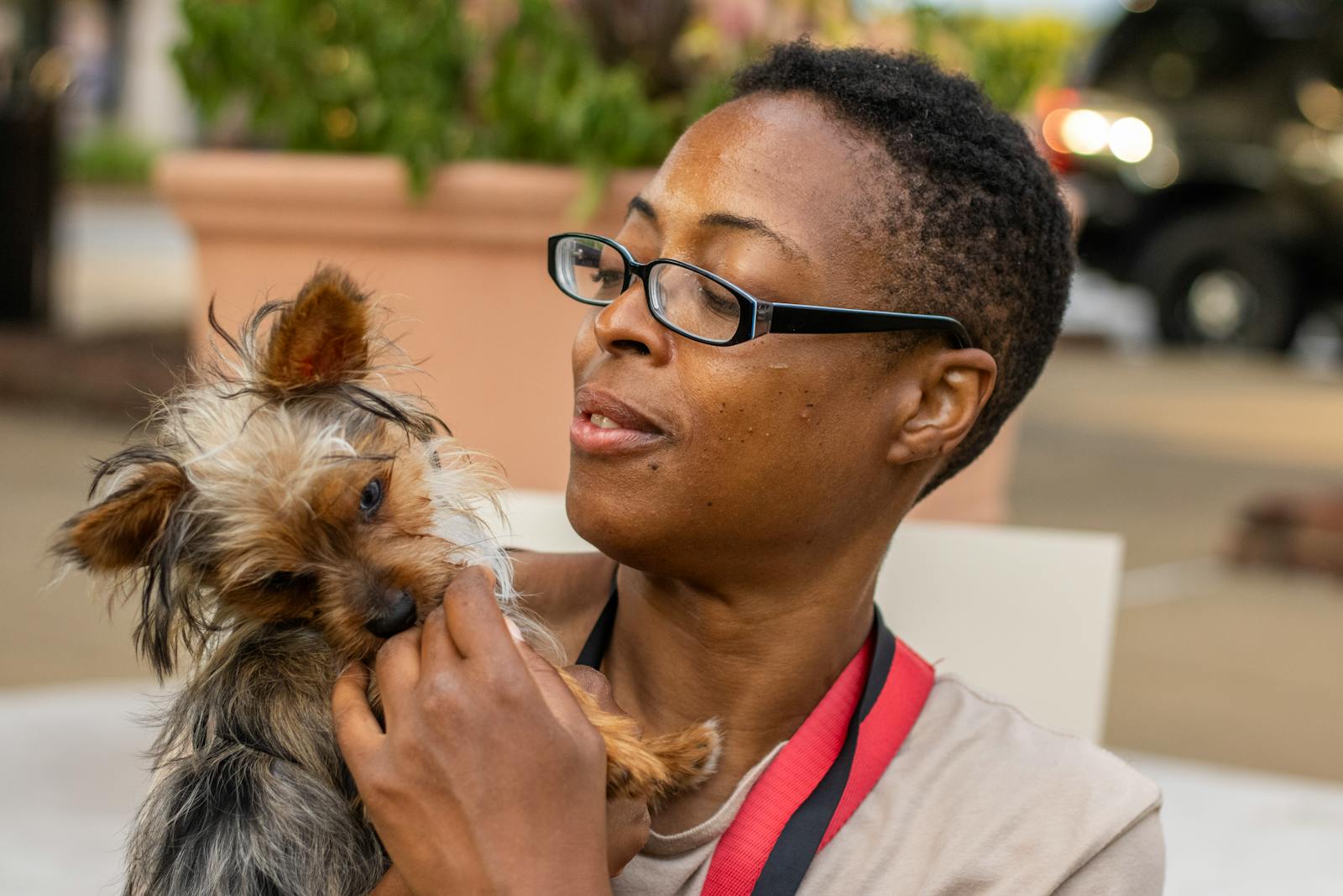 Small Dog Photos, Download The BEST Free Small Dog Stock Photos & HD Images