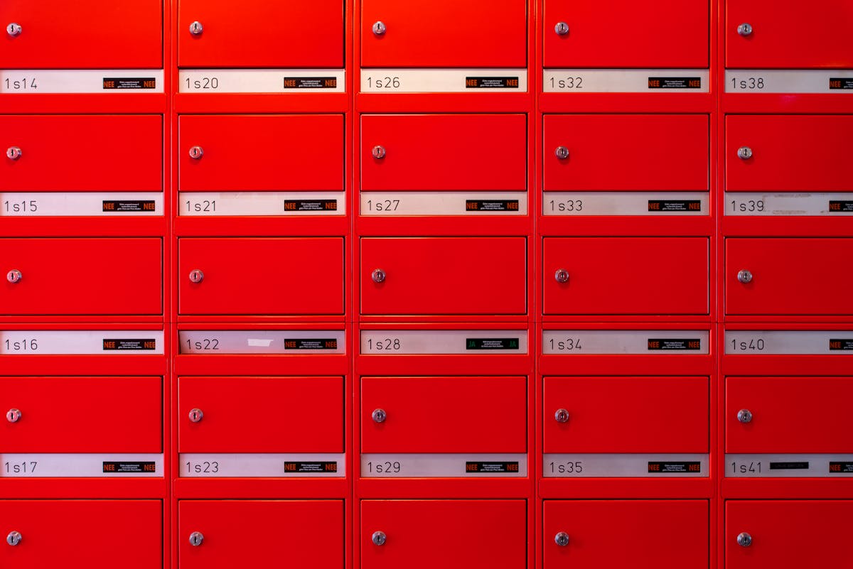 Organizing Photos, Download The BEST Free Organizing Stock Photos & HD ...
