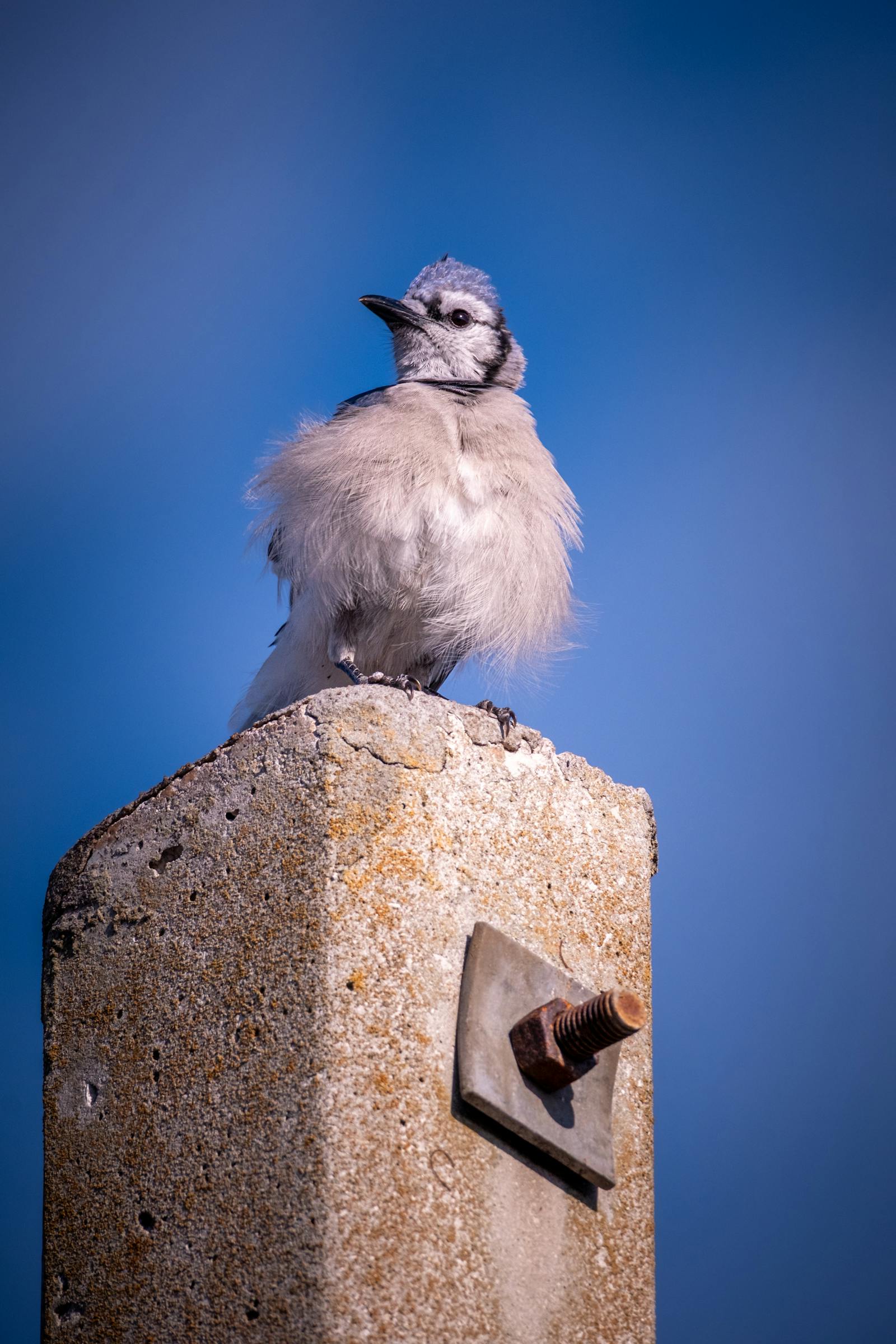 Tuff+Discord+Profile+Pictures Photos, Download The BEST Free Tuff ...