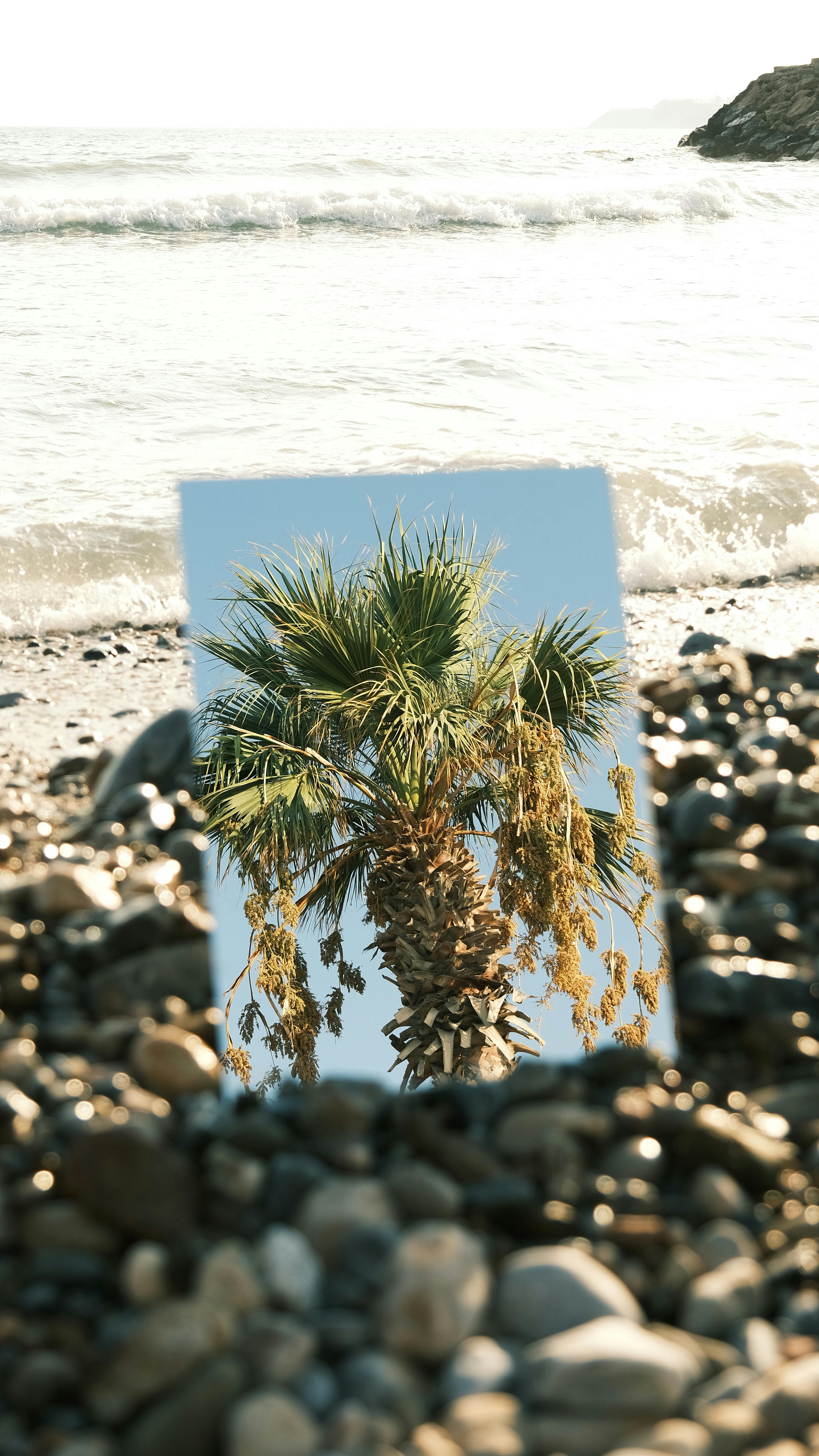 Edpm+Photo Photos, Download The BEST Free Edpm+Photo Stock Photos & HD ...