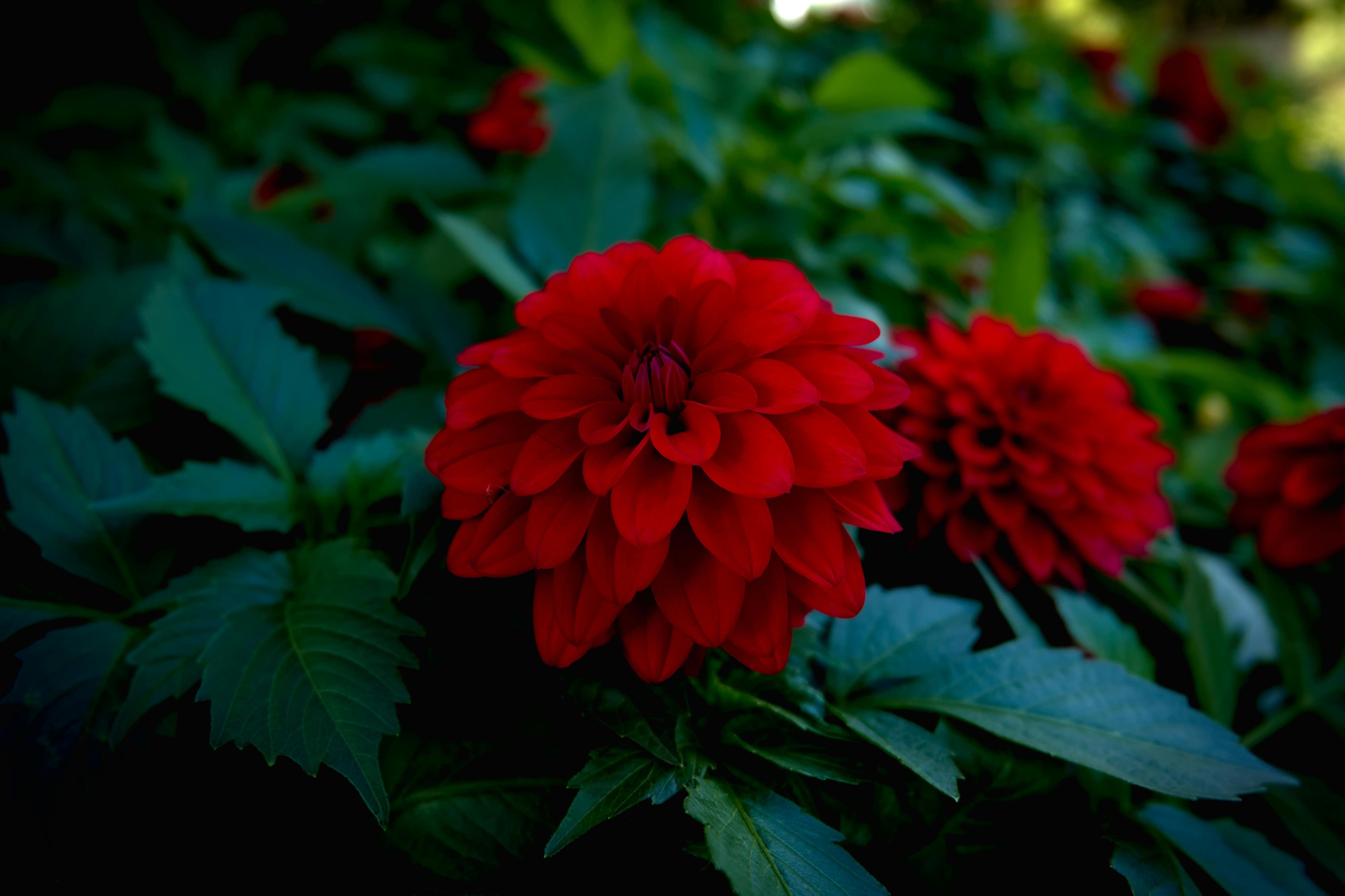 Perfect Photos, Download The BEST Free Perfect Stock Photos & HD Images