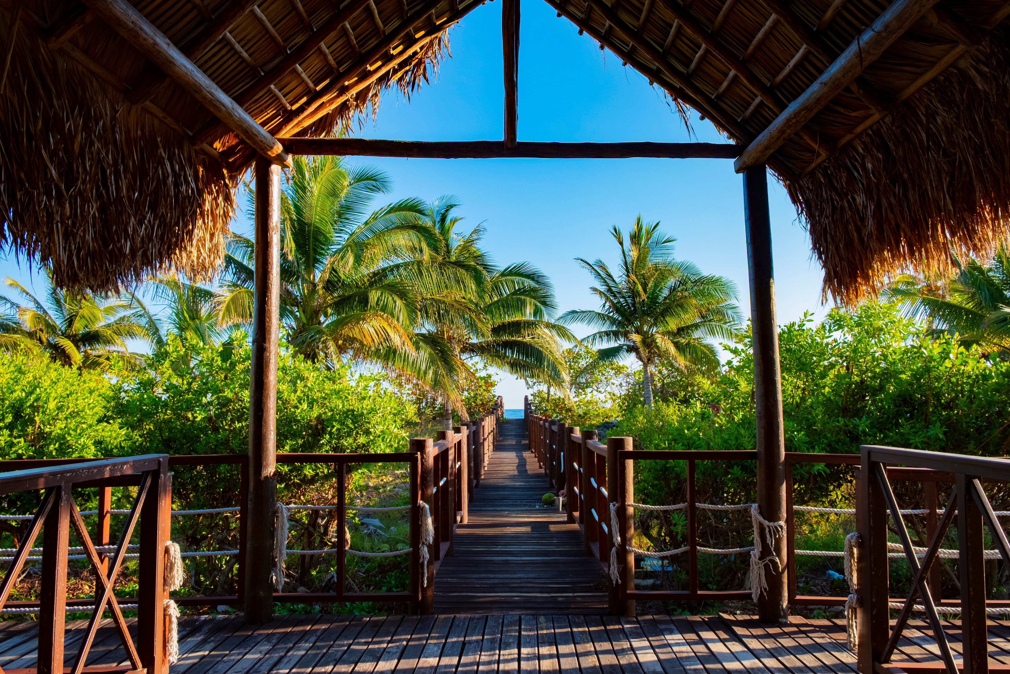 Tropical Pathway with Rustic Wooden Bridge · Free Stock Photo