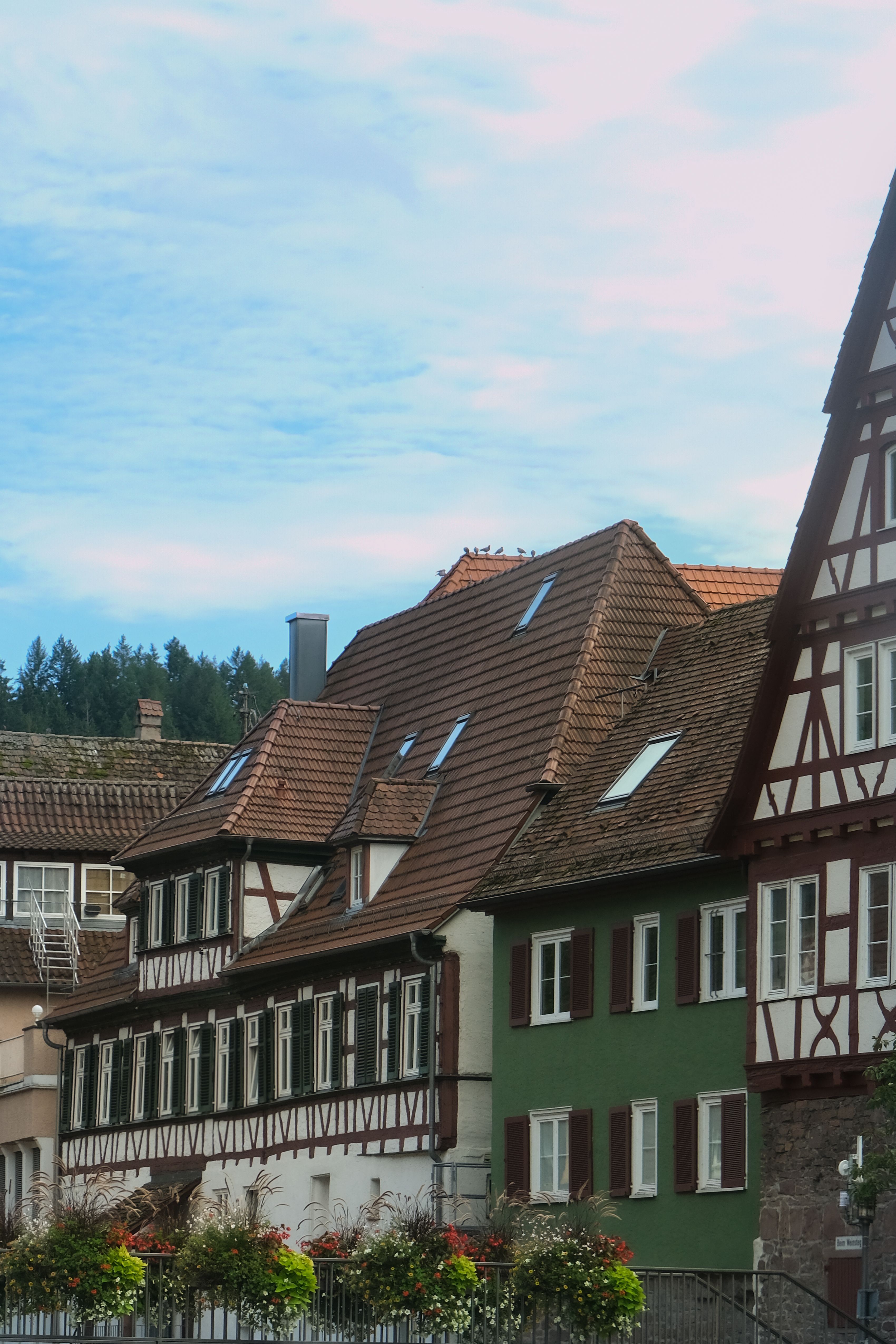 German+Granny Photos, Download The BEST Free German+Granny Stock Photos ...