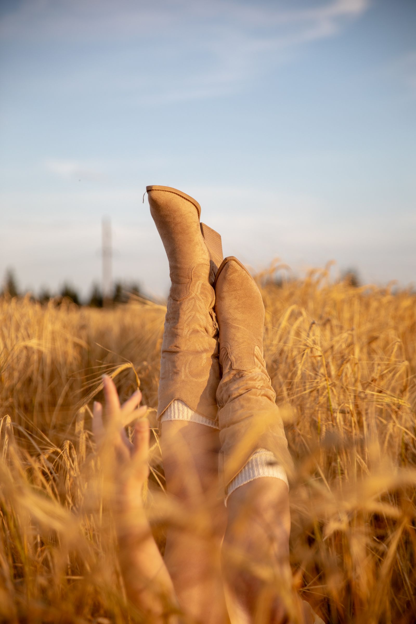Wheat And Darnel Photos, Download The BEST Free Wheat And Darnel Stock ...