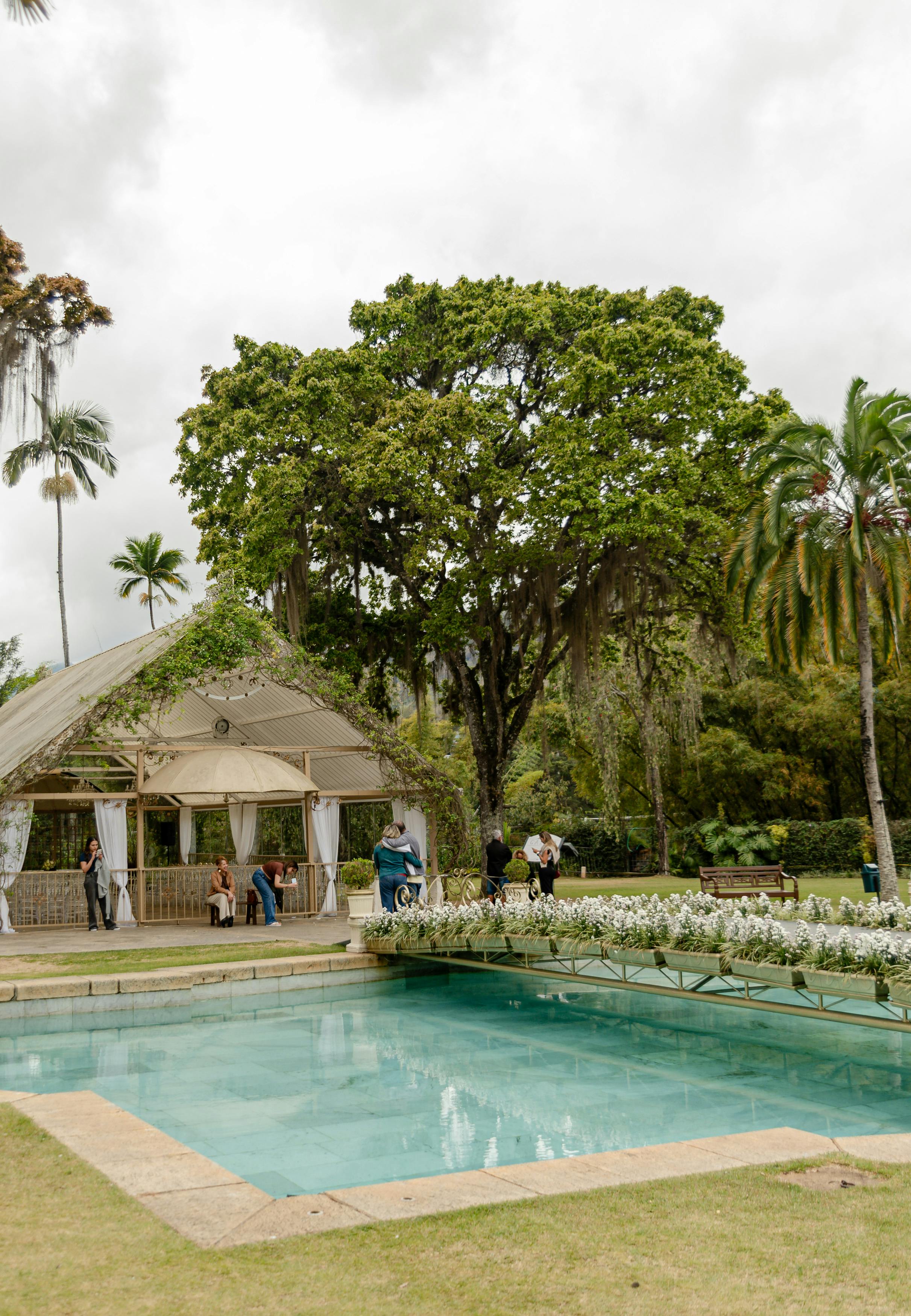 Vladimir Putin Photo Photos, Download The BEST Free Vladimir Putin ...