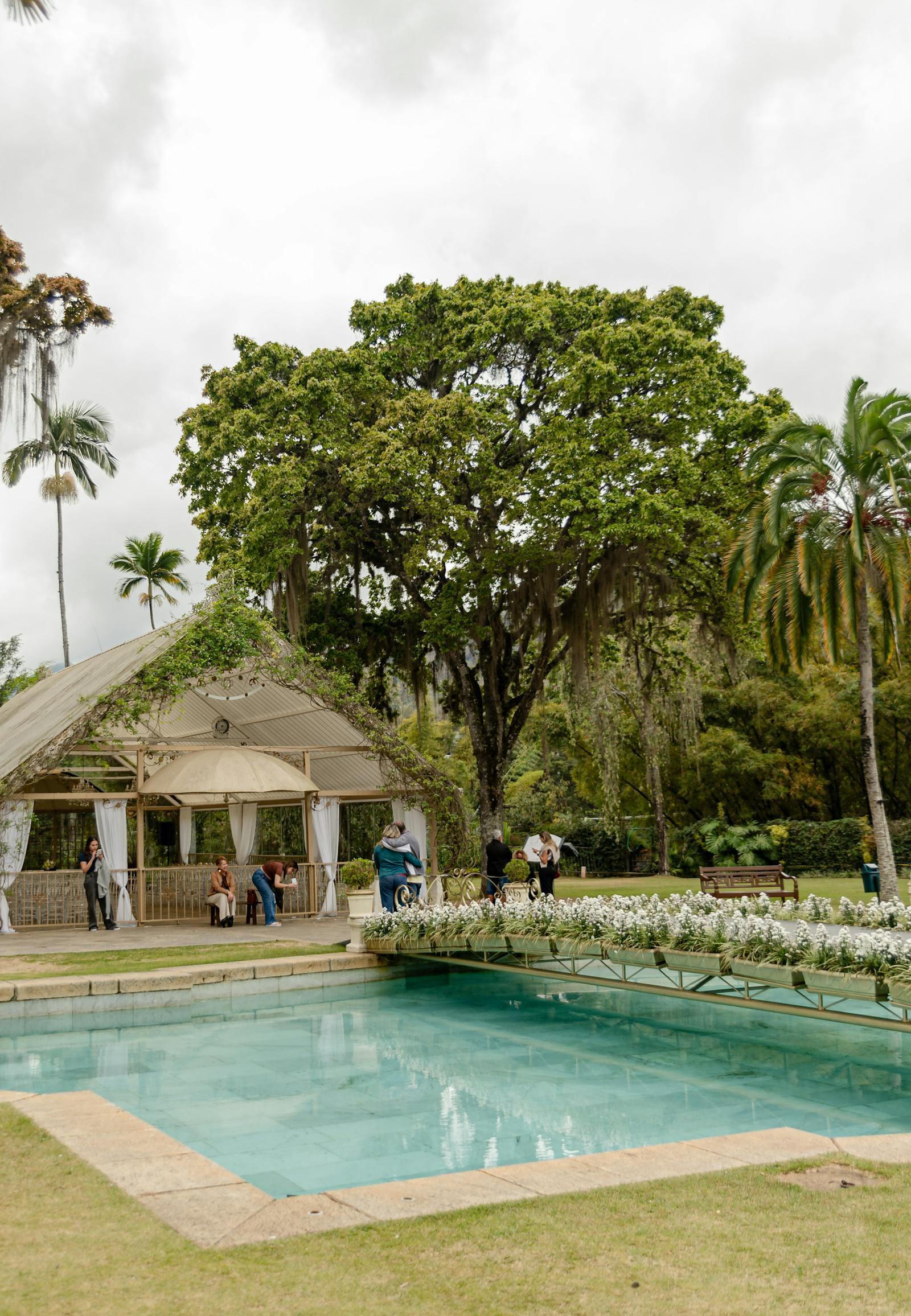 Tuberculosis Photo Photos, Download The BEST Free Tuberculosis Photo ...