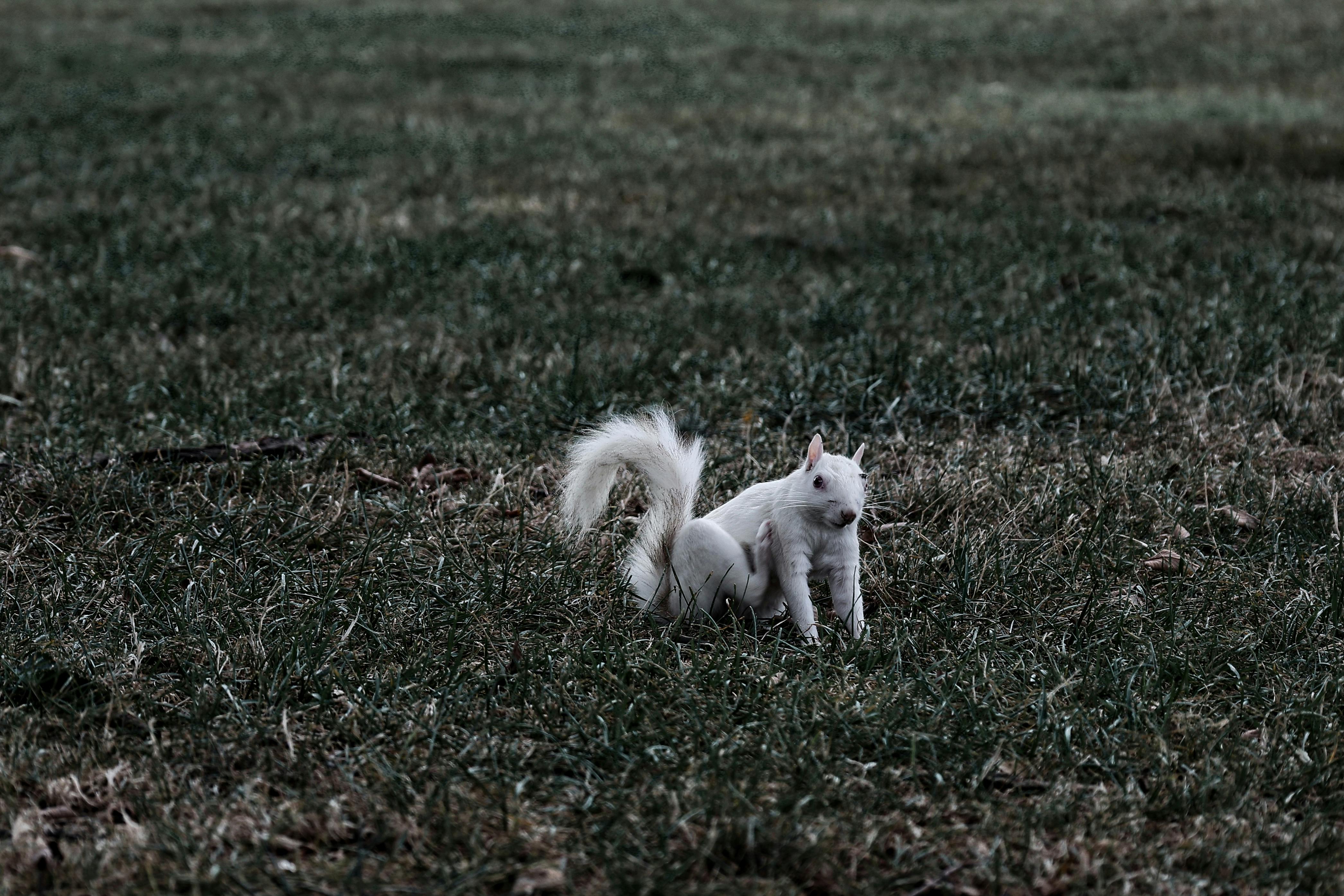 All States Of The Us Photos, Download The BEST Free All States Of The ...