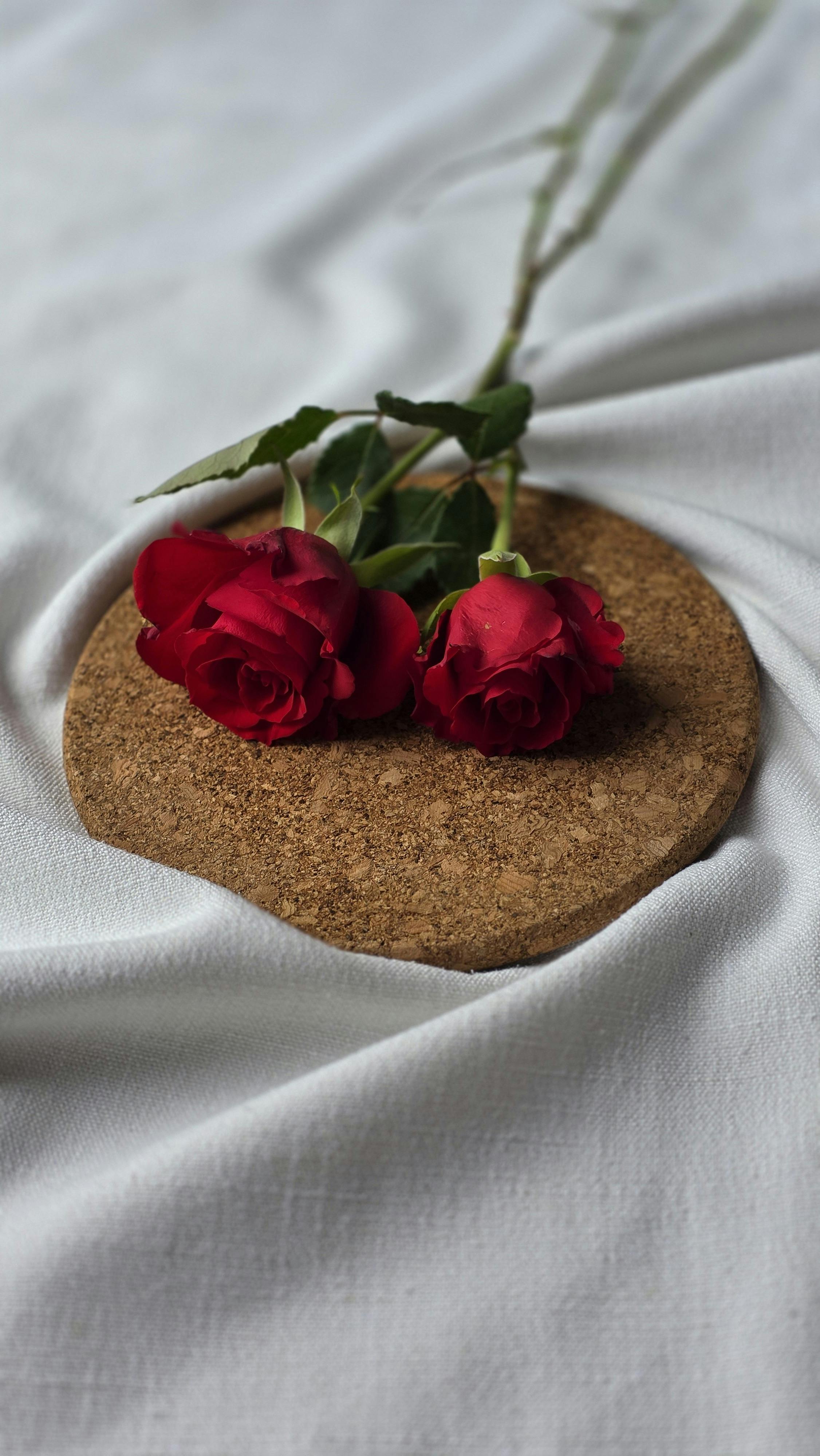 Red Roses on Round Cork Board · Free Stock Photo
