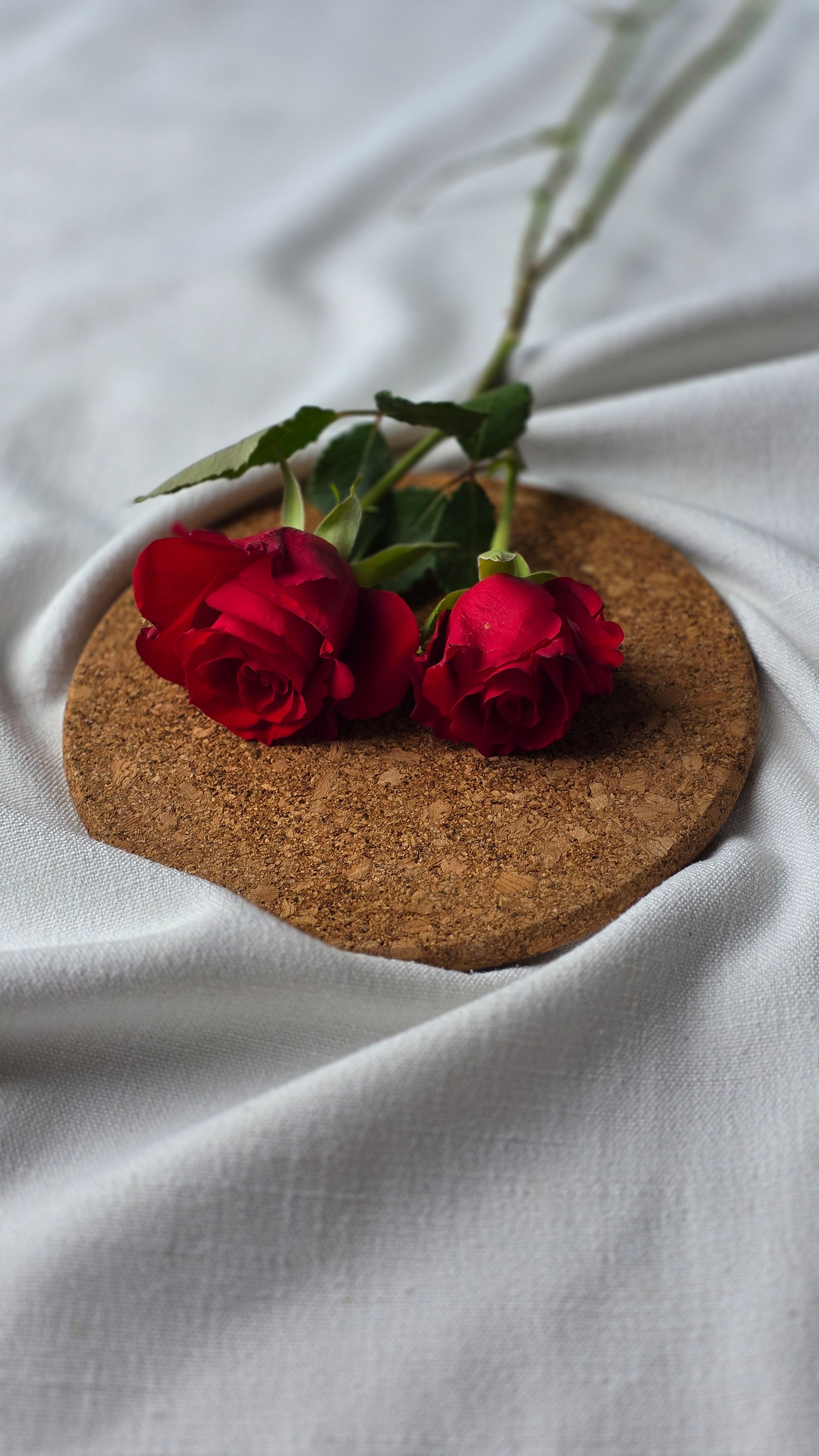 Red Roses on Round Cork Board · Free Stock Photo