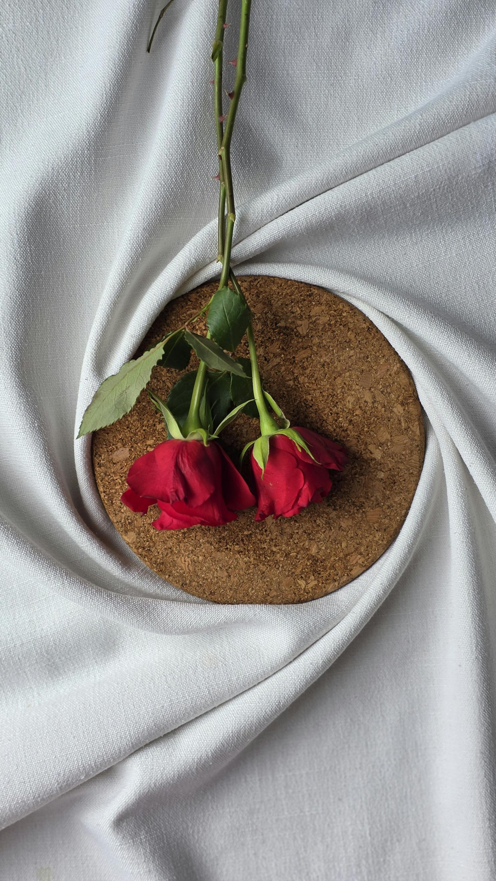 Baddies Aesthetic Photos, Download The BEST Free Baddies Aesthetic ...