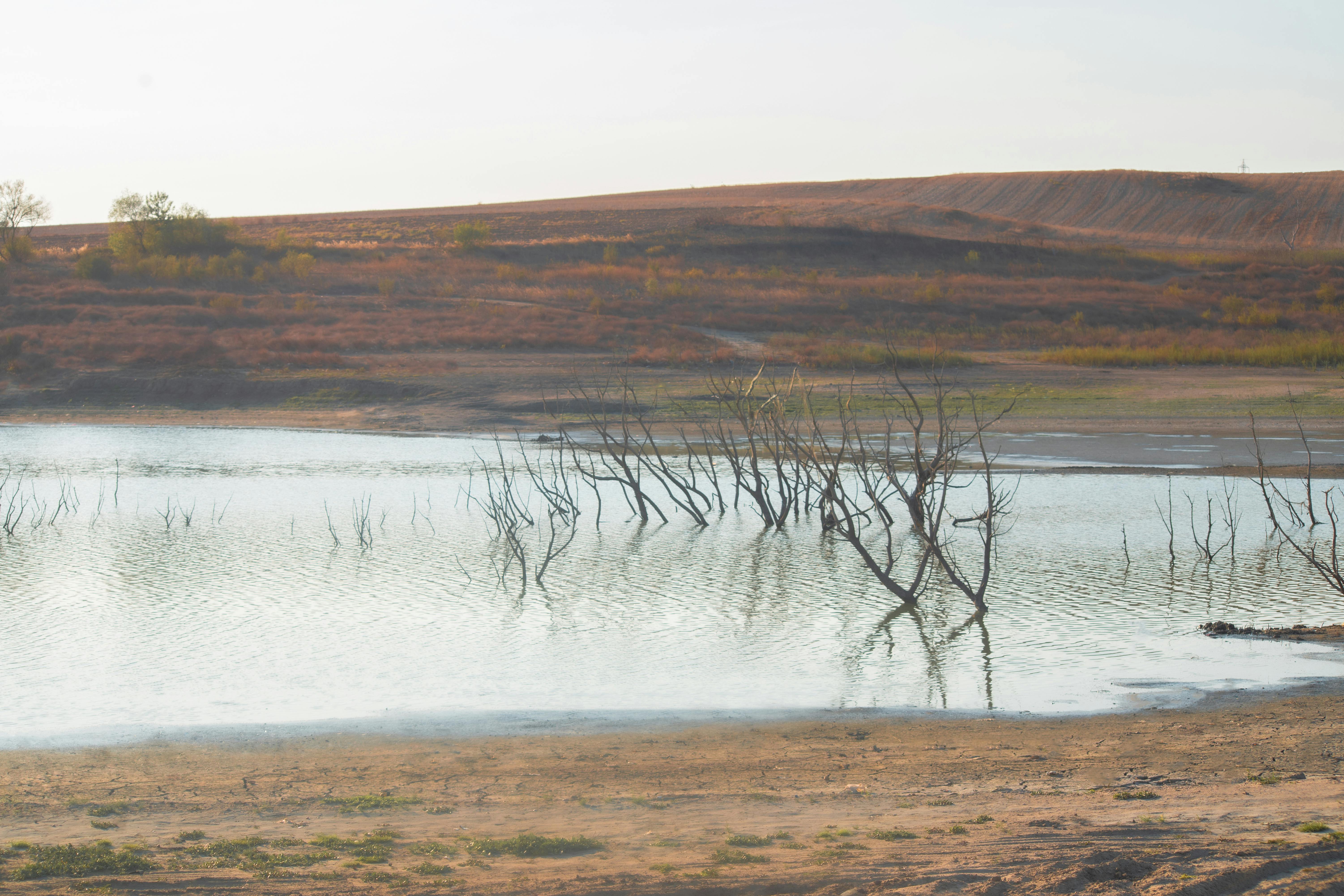 Princess+Model+Sunshine Photos, Download The BEST Free Princess+Model ...