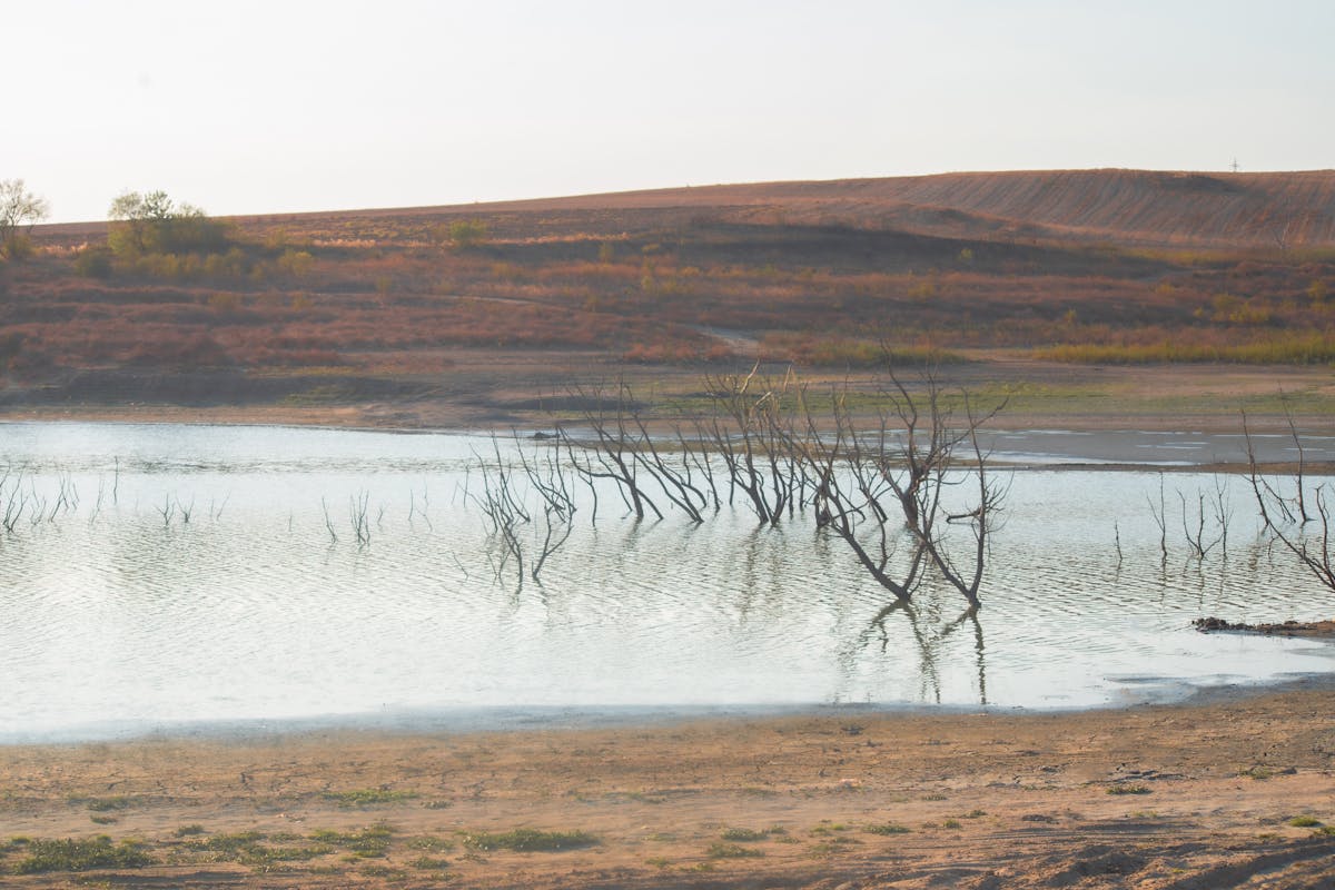 Lake Albert Uganda Photos, Download The BEST Free Lake Albert Uganda ...