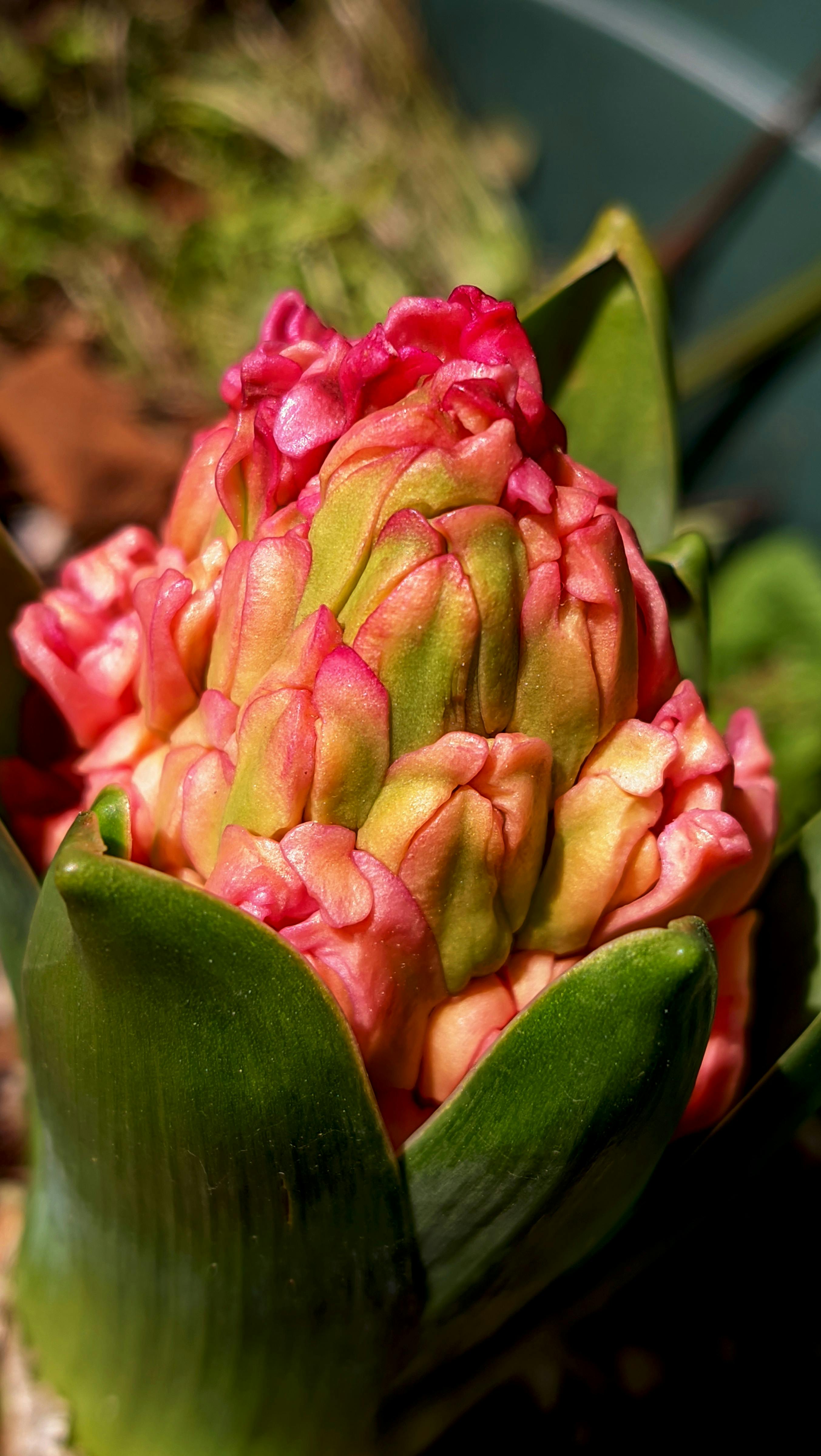 Jesus+Girl+Wallpaper Photos, Download The BEST Free Jesus+Girl ...