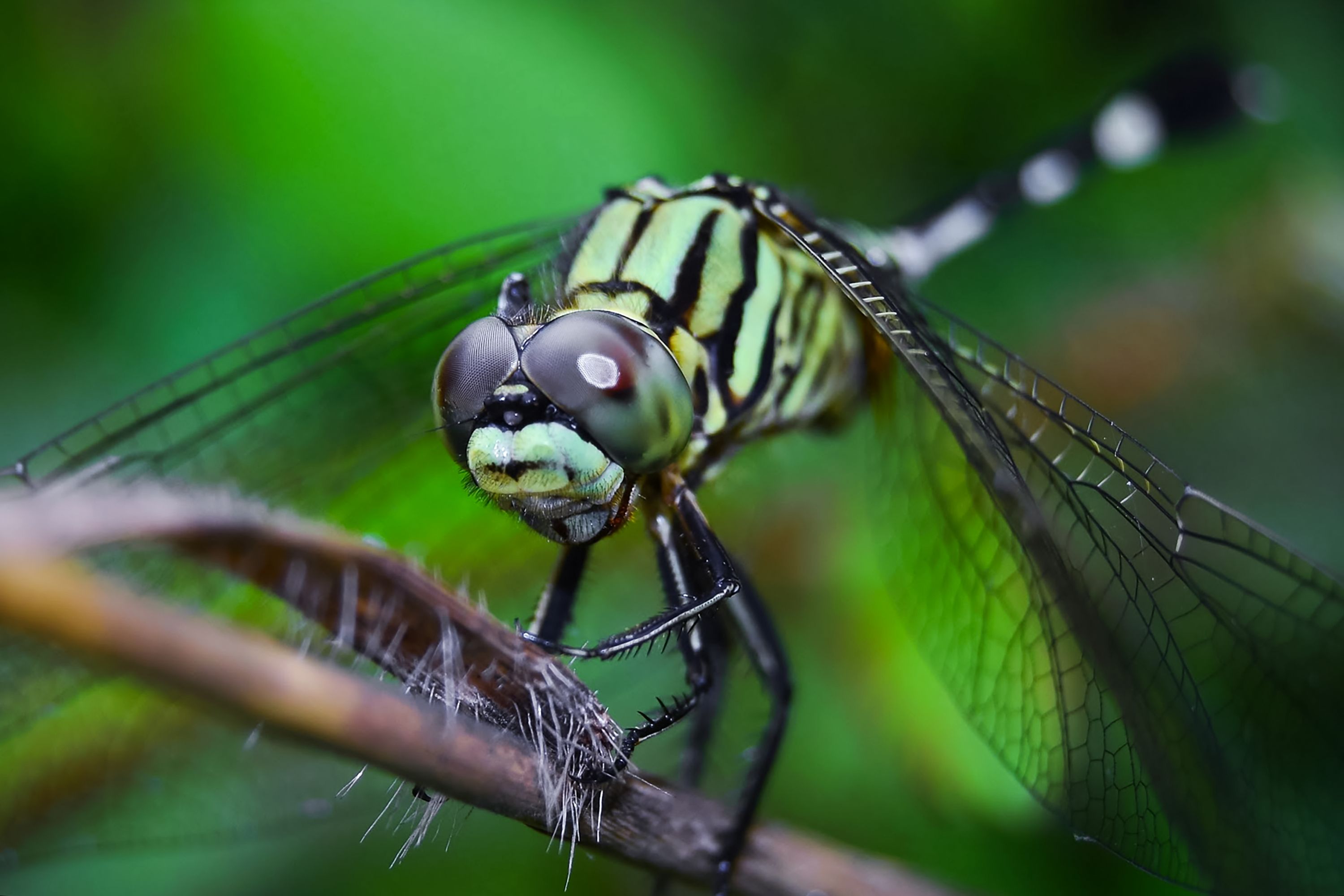 Small Photos, Download The BEST Free Small Stock Photos & HD Images